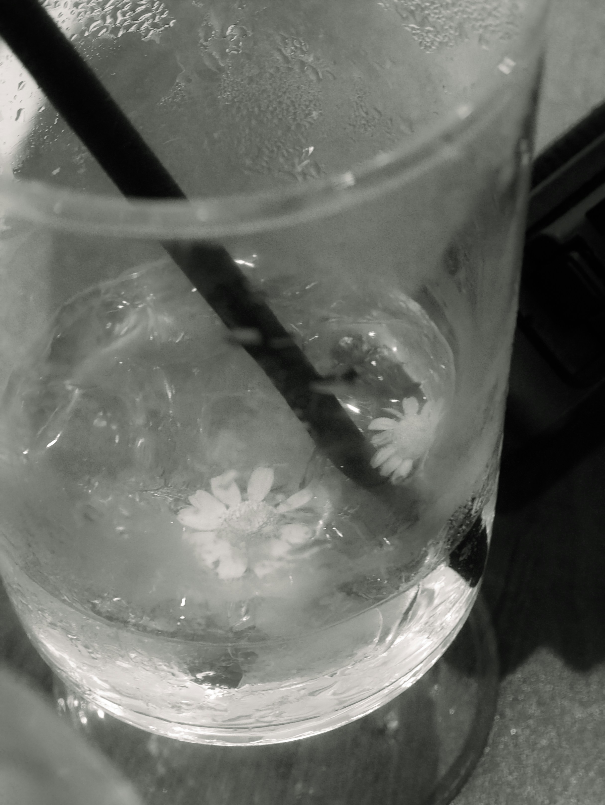 Monochrome Glass: Daisy Reflections in a Fizzy Sip