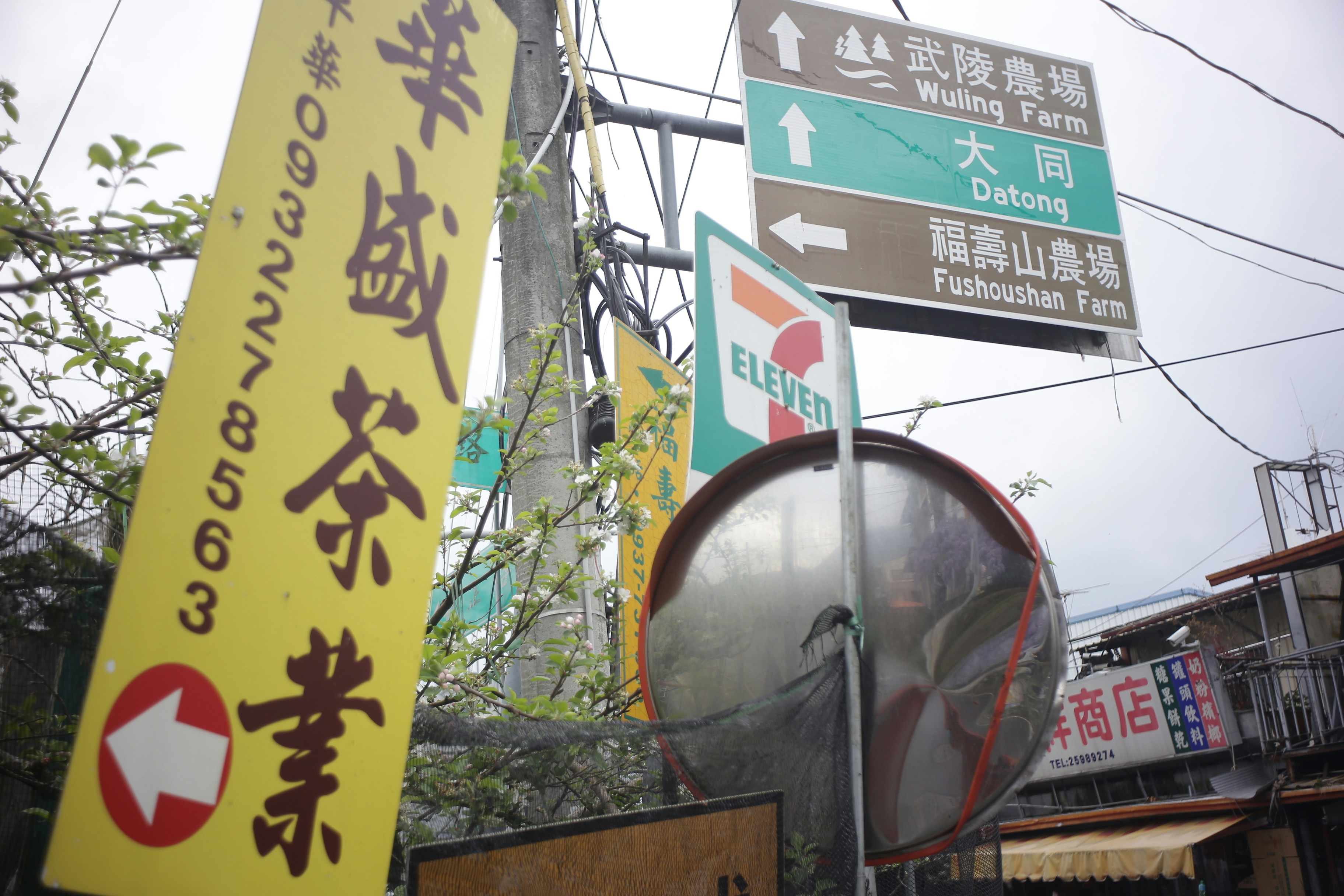Signage Confluence at a Busy Street Corner