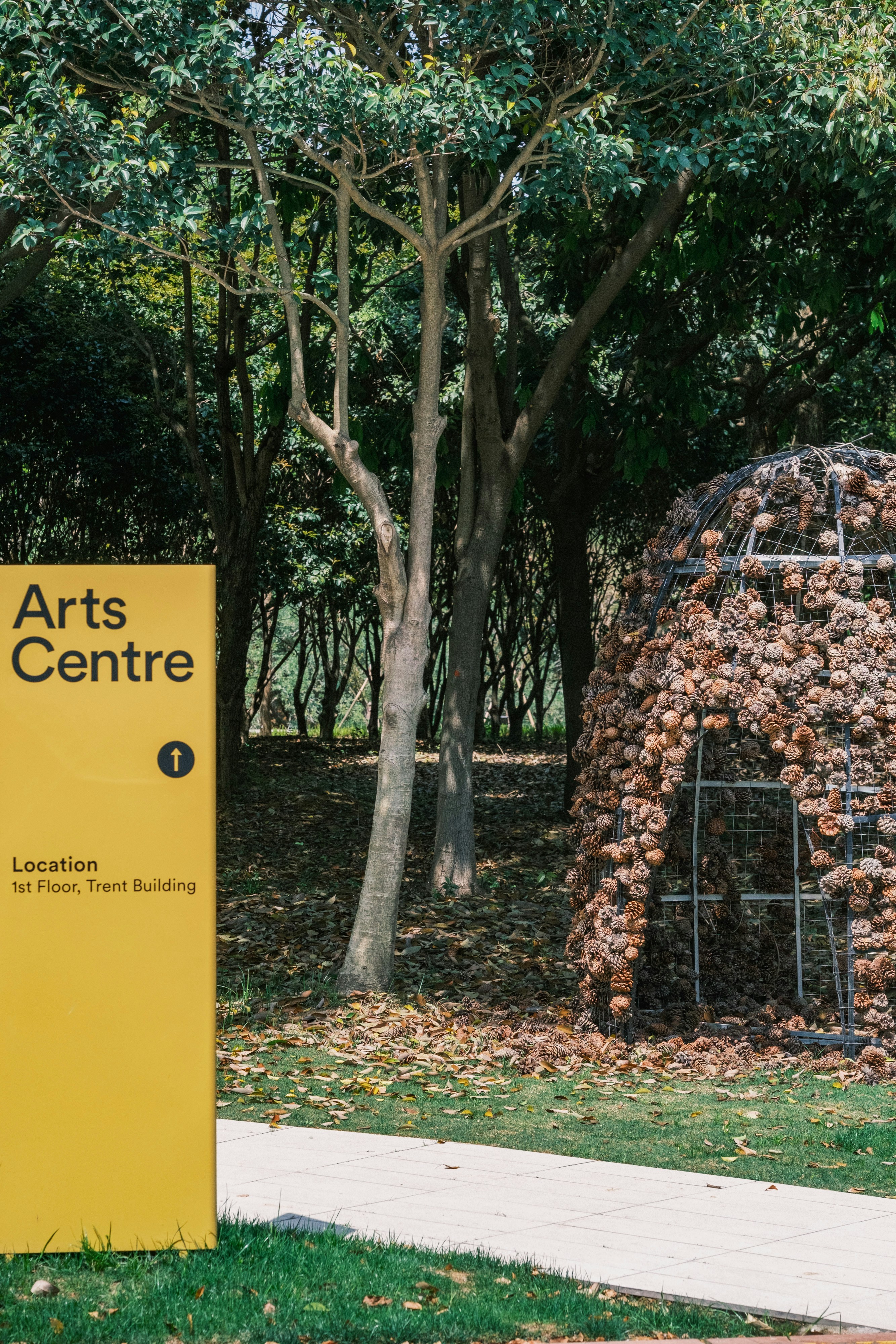 Yellow Arts Centre Sign and Dried Floral Structure in a Shaded Garden