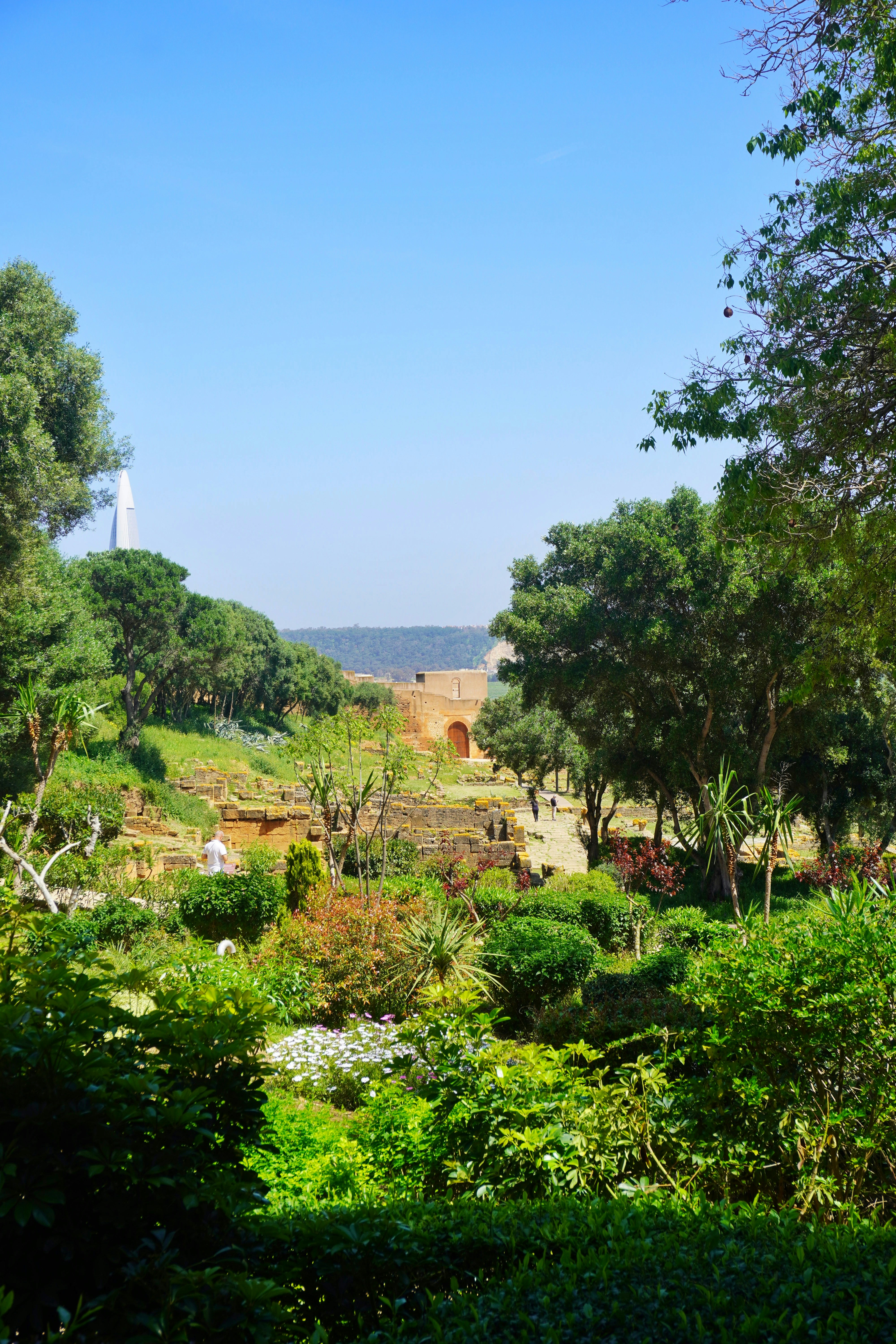 Garden Tapestry: A Path Through Verdant Cliffs