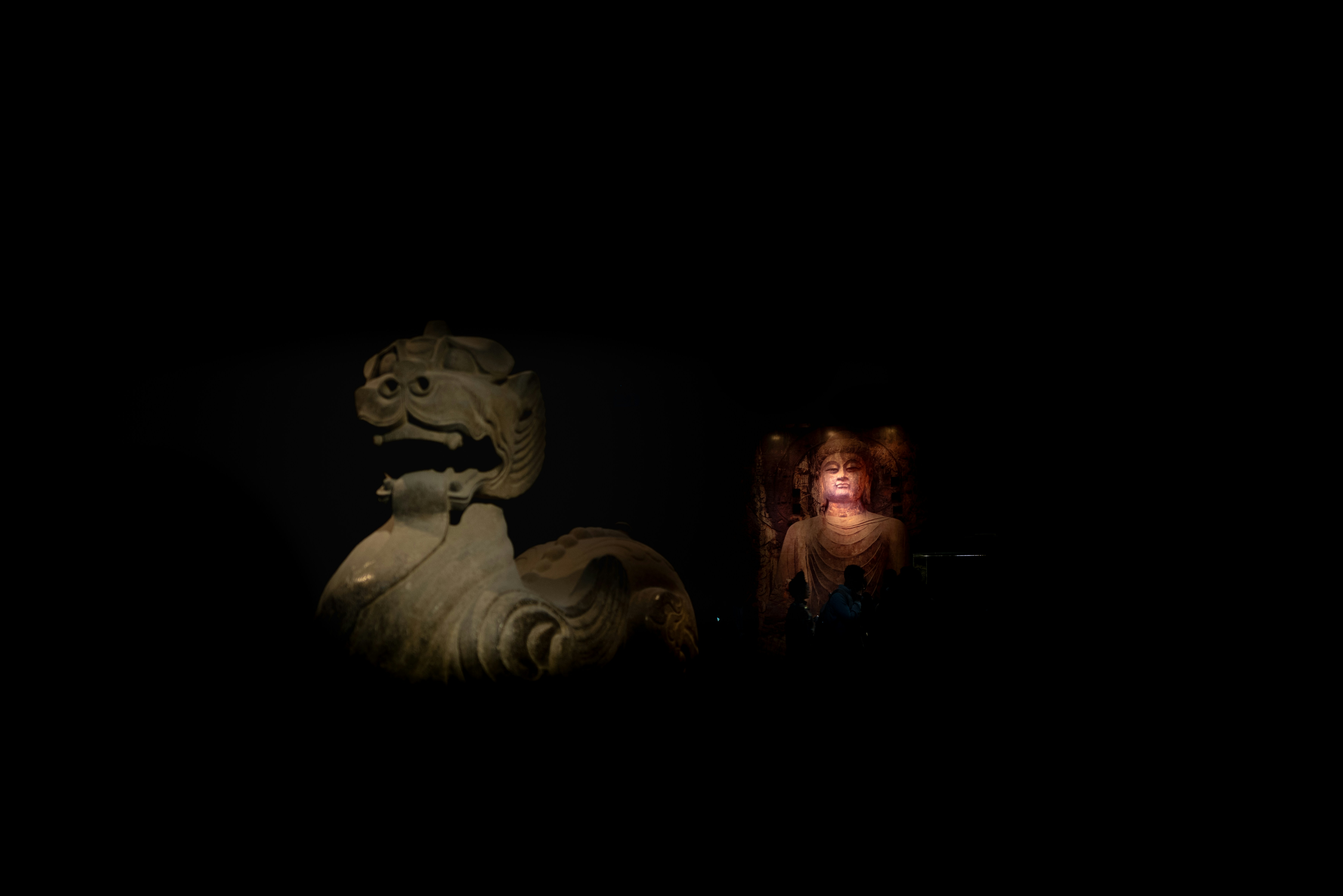 Dim Spotlight: A Shrouded Lion Statue and a Quiet Face