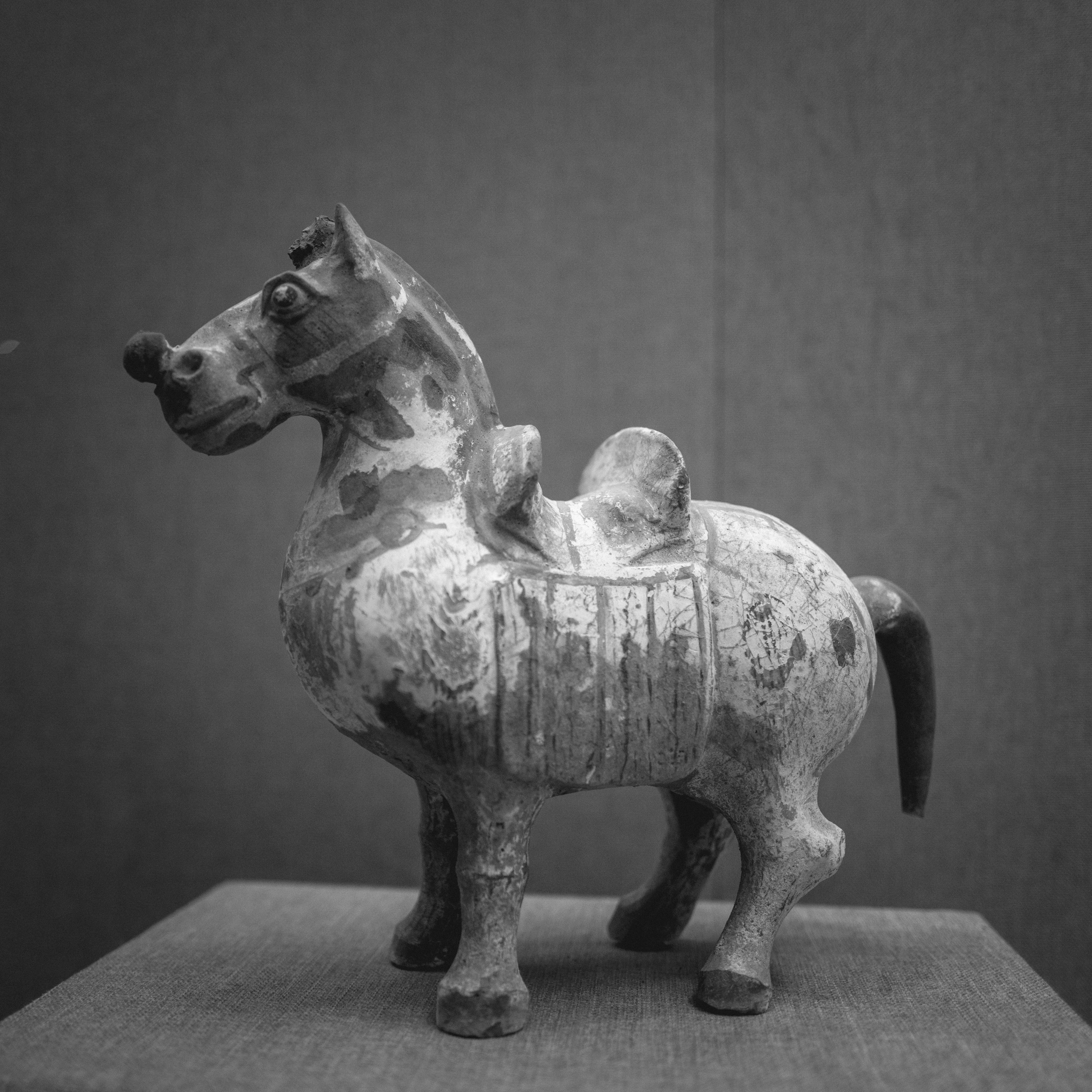 Weathered Wooden Horse: A Quiet Still Life in Grayscale