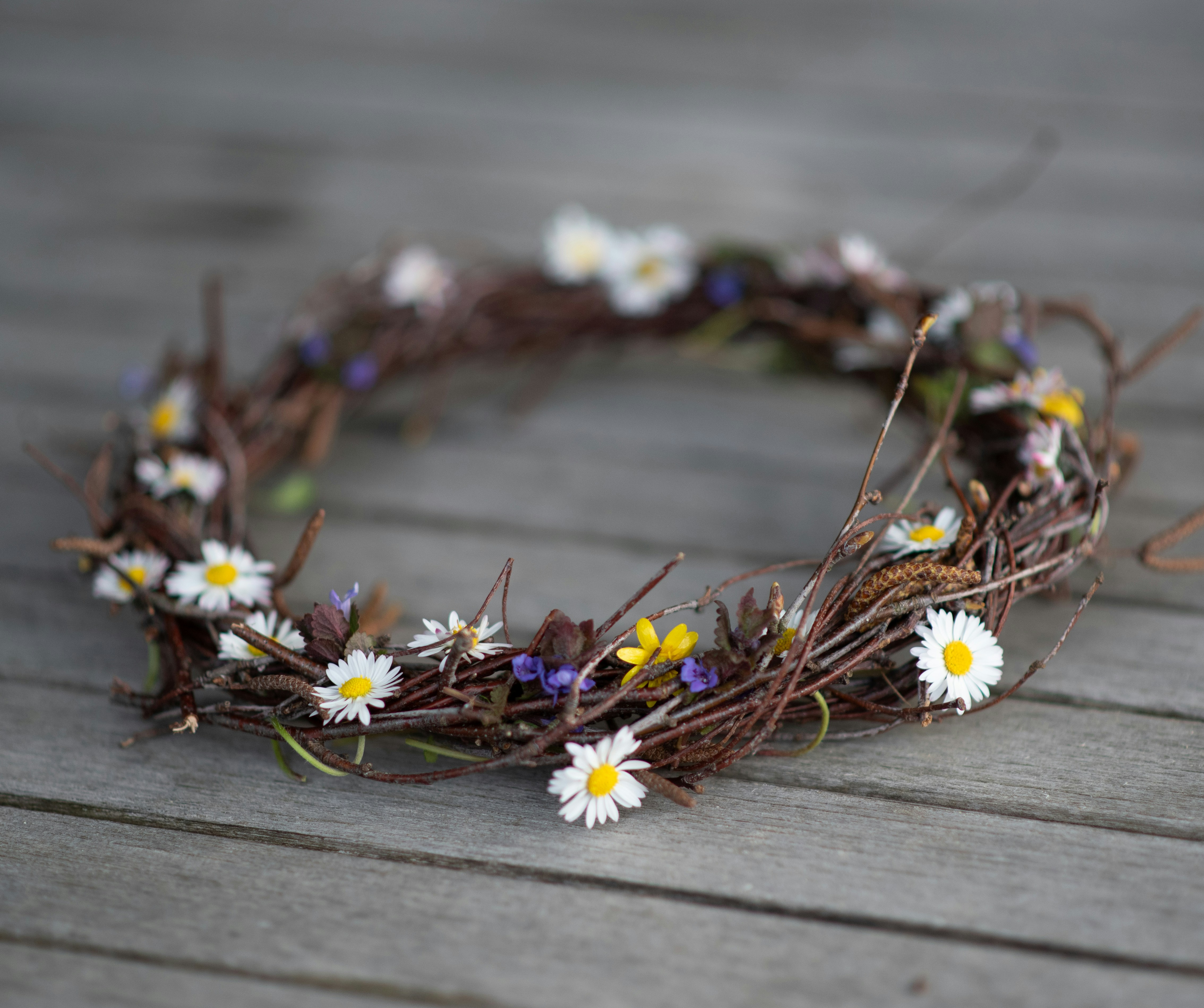 Spring Crown: A Delicate Daisy Wreath Resting on Weathered Wood