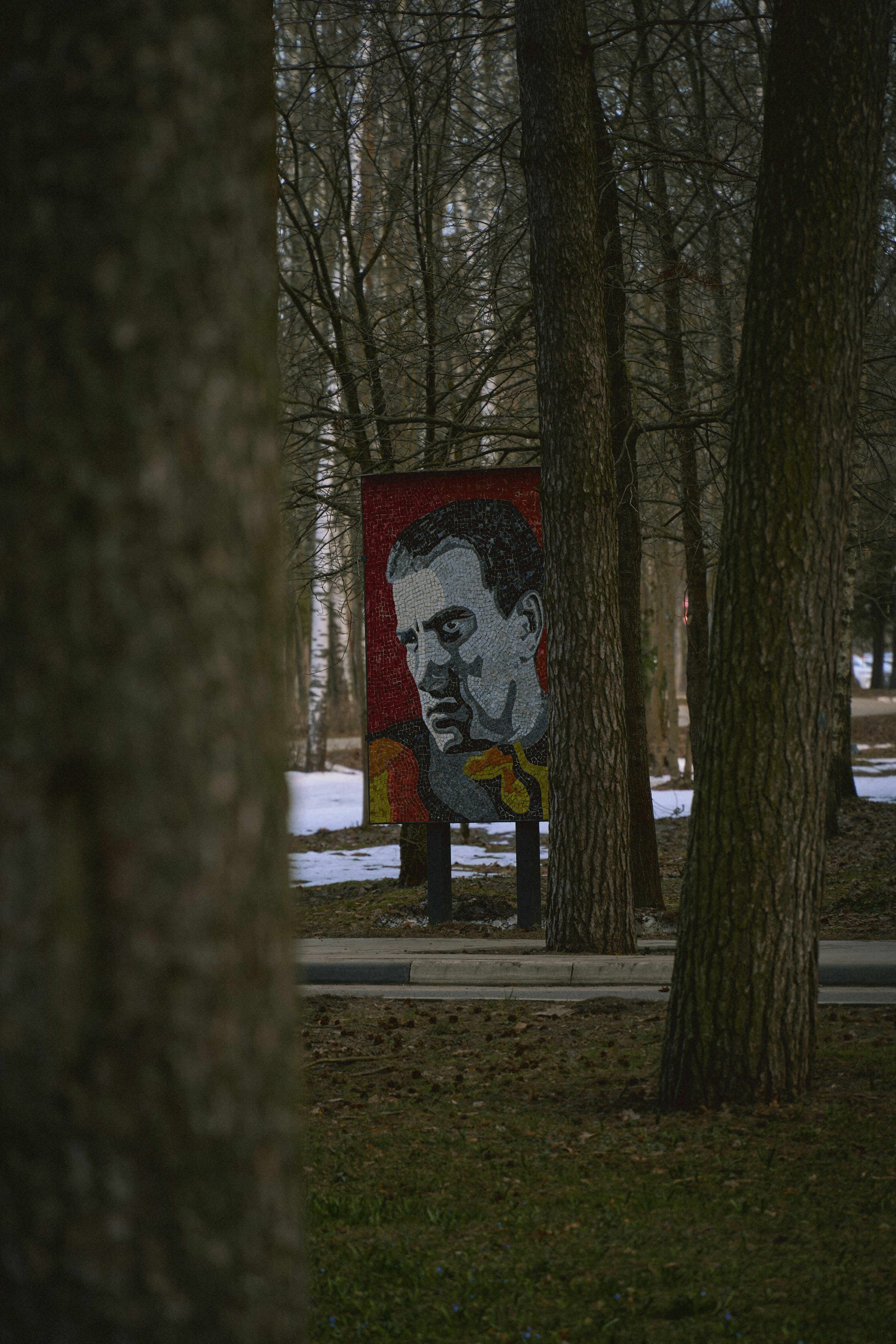 Mosaic Portrait Emerges Between Pines