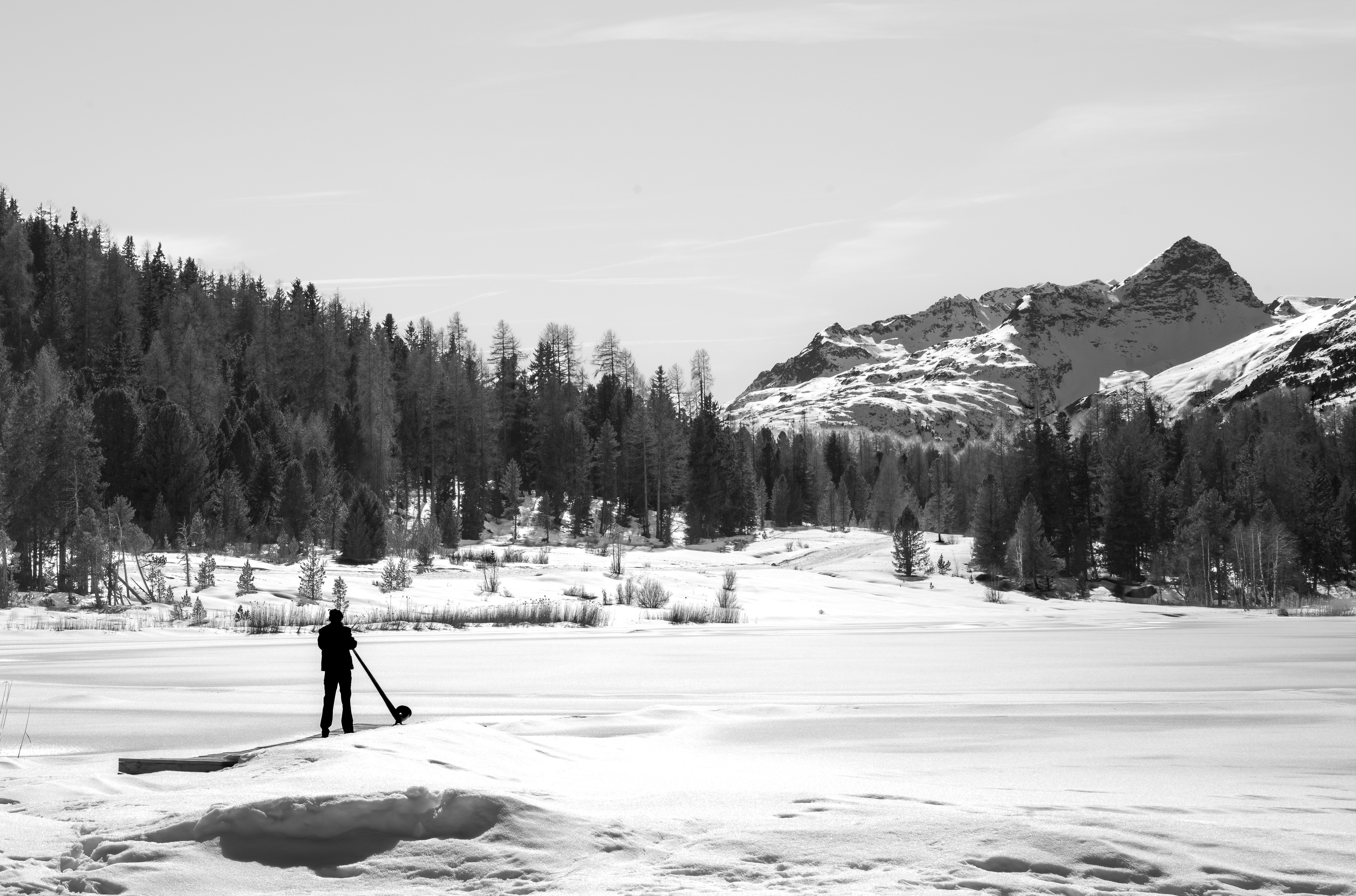 Pioneer on the White Expanse