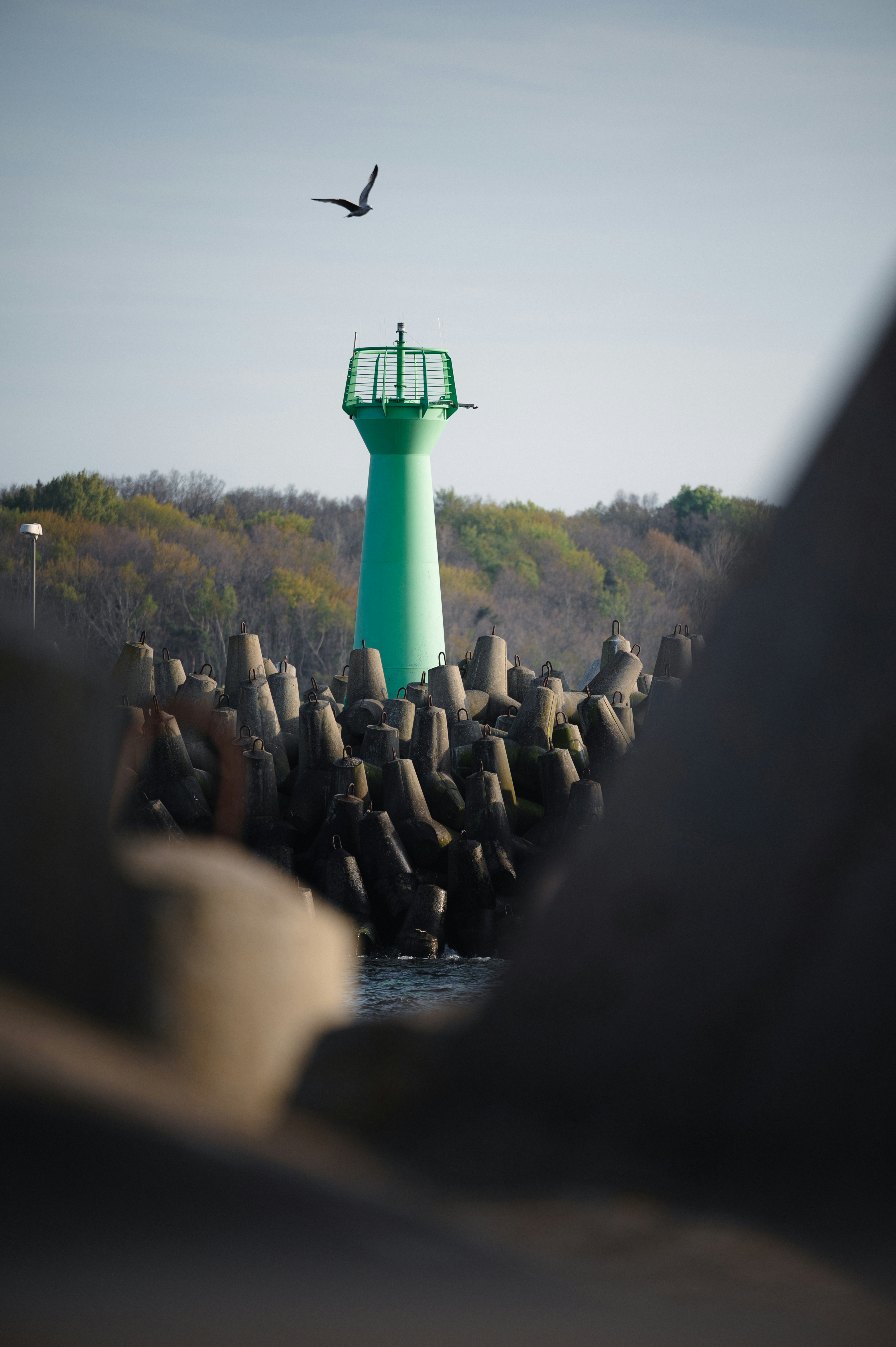 Green beacon over jagged breakwater: a lone gull in flight above the harbor