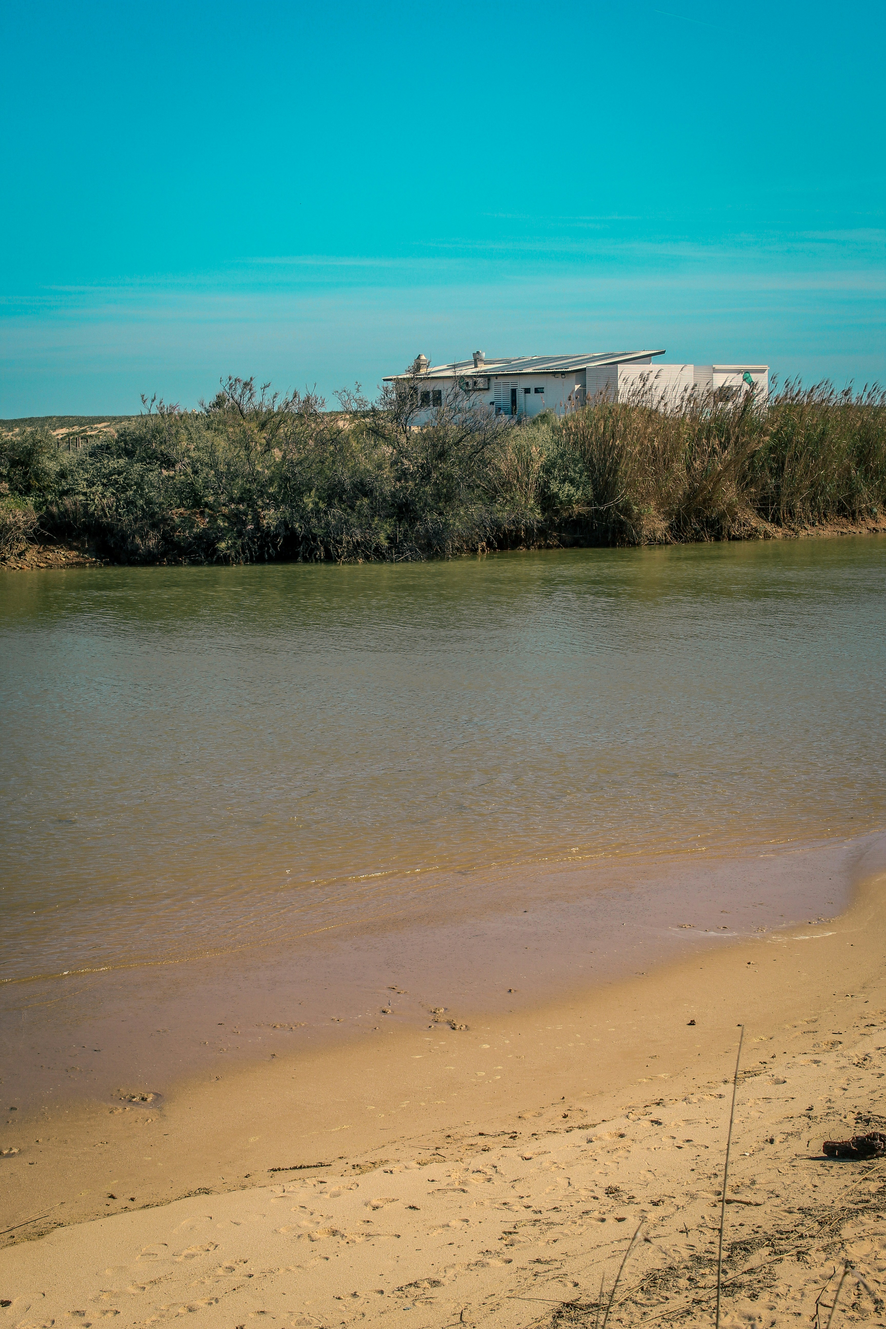 Shoreline Retreat: A Quiet House Framed by Saltbush and Tide