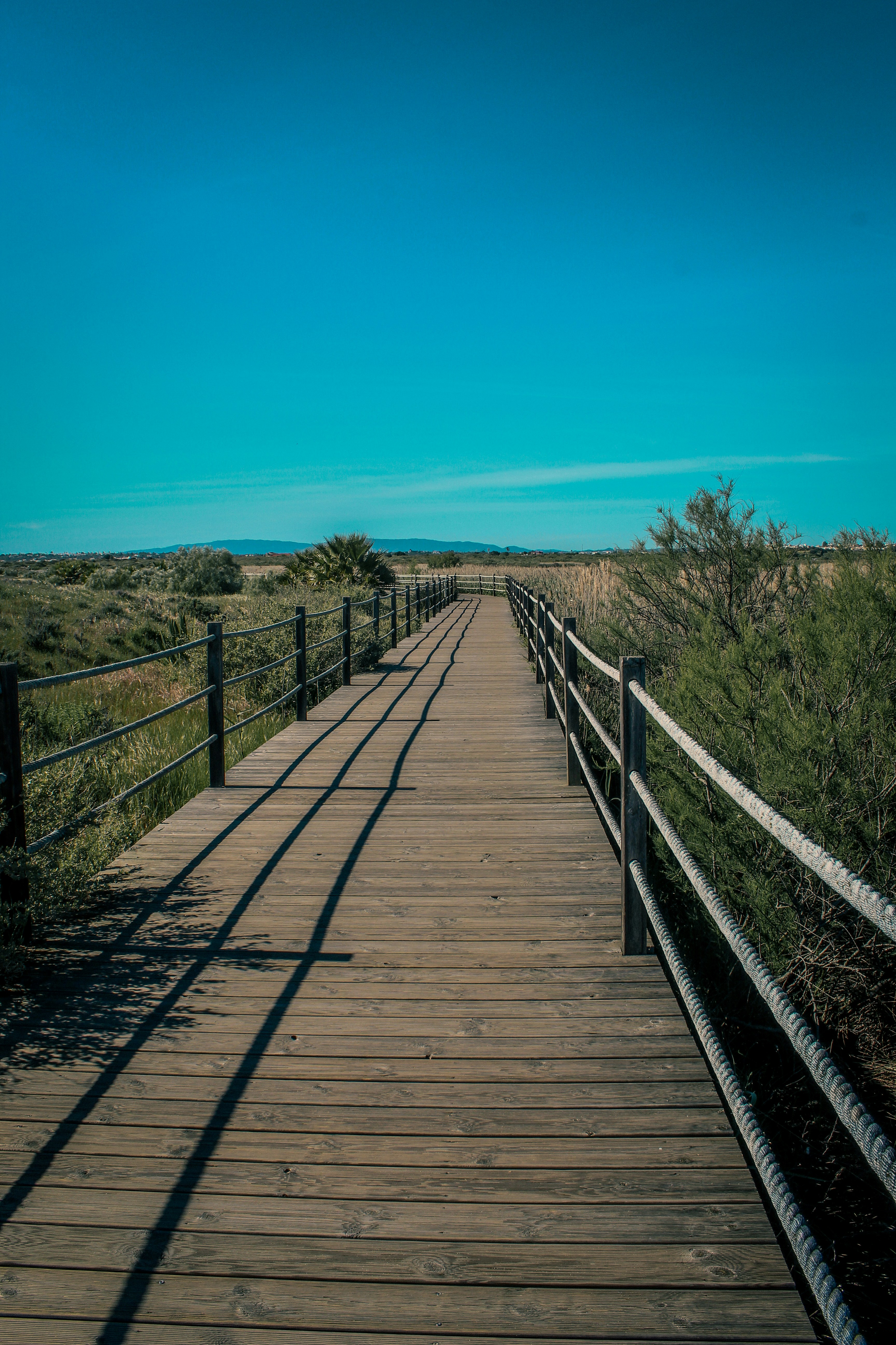 Sunlit Boardwalk Winding Toward Distant Prairie Horizon