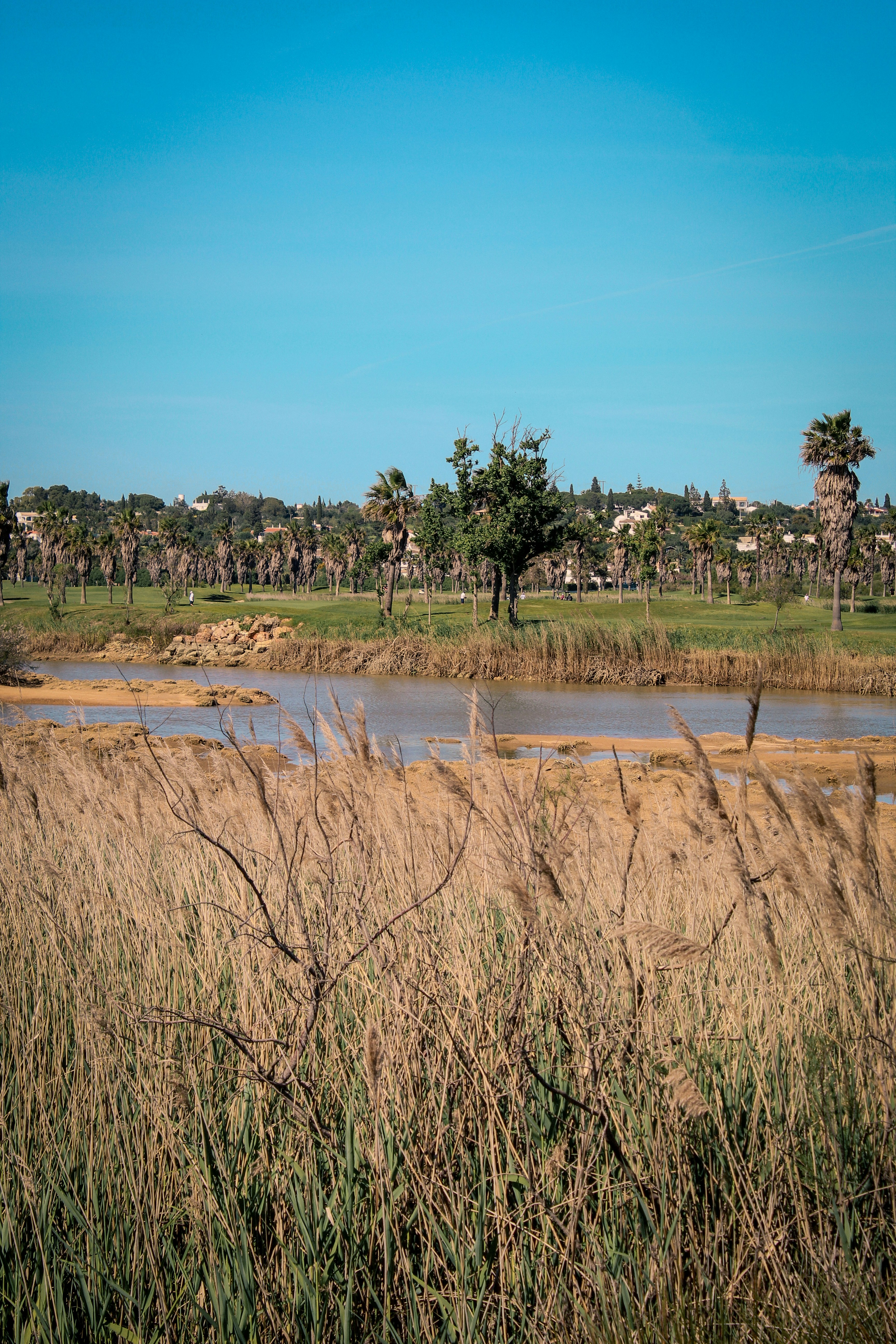 A tranquil landscape with dry grass and a calm pond.