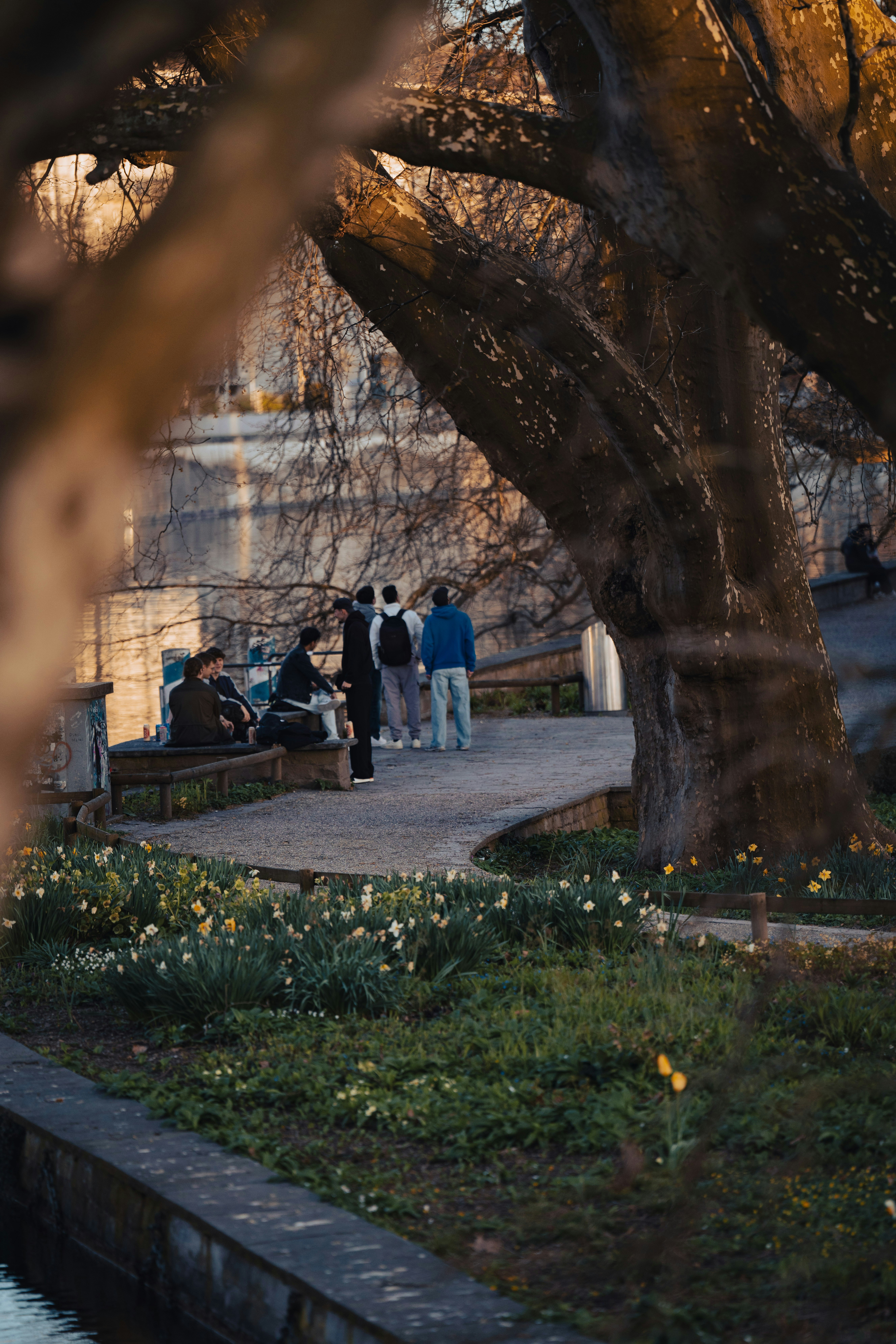 Sunlit Park Ambience: Friends Amid the Golden Trees