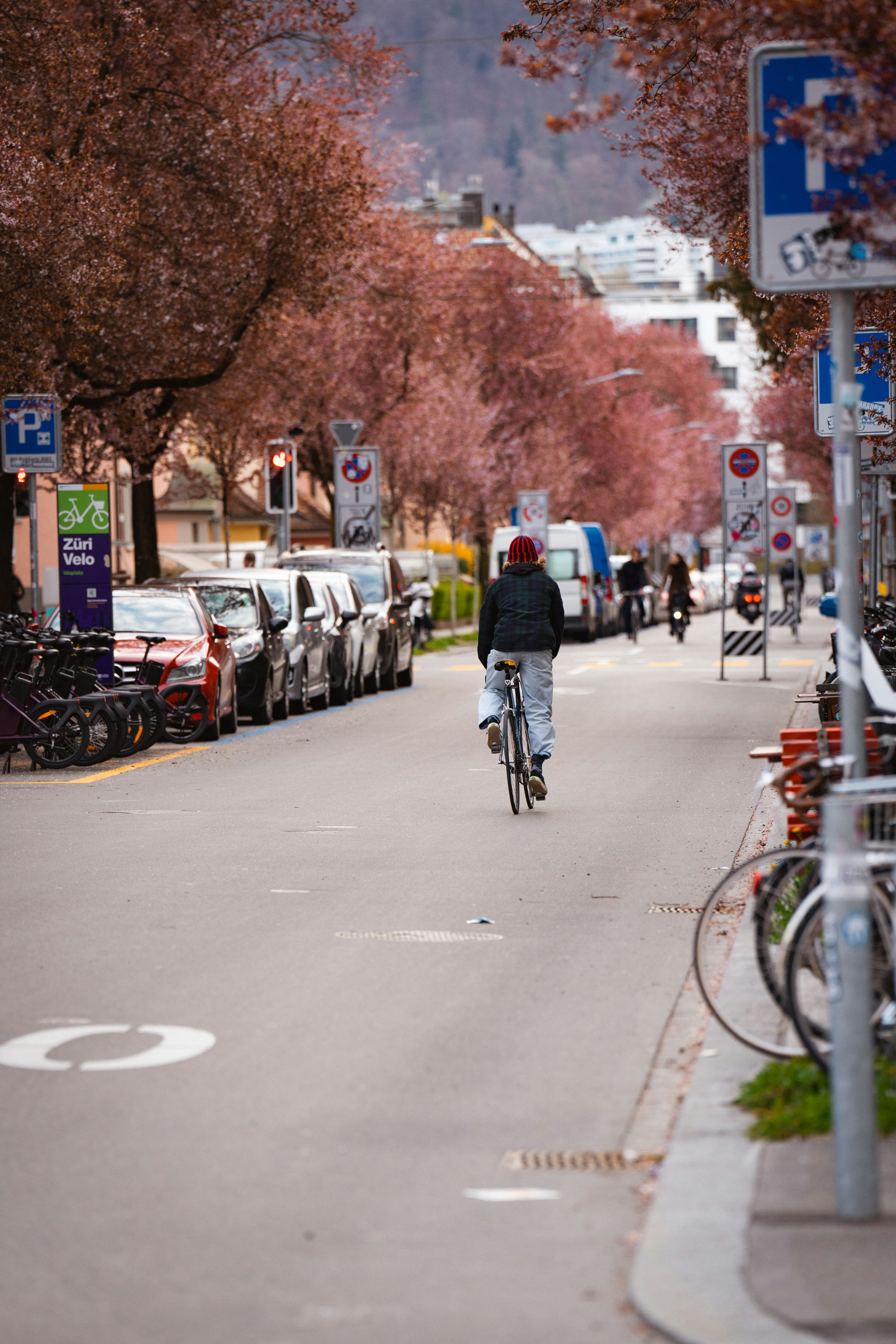 On the City Street, A Cyclist Traverses a Quiet Autumn Boulevard
