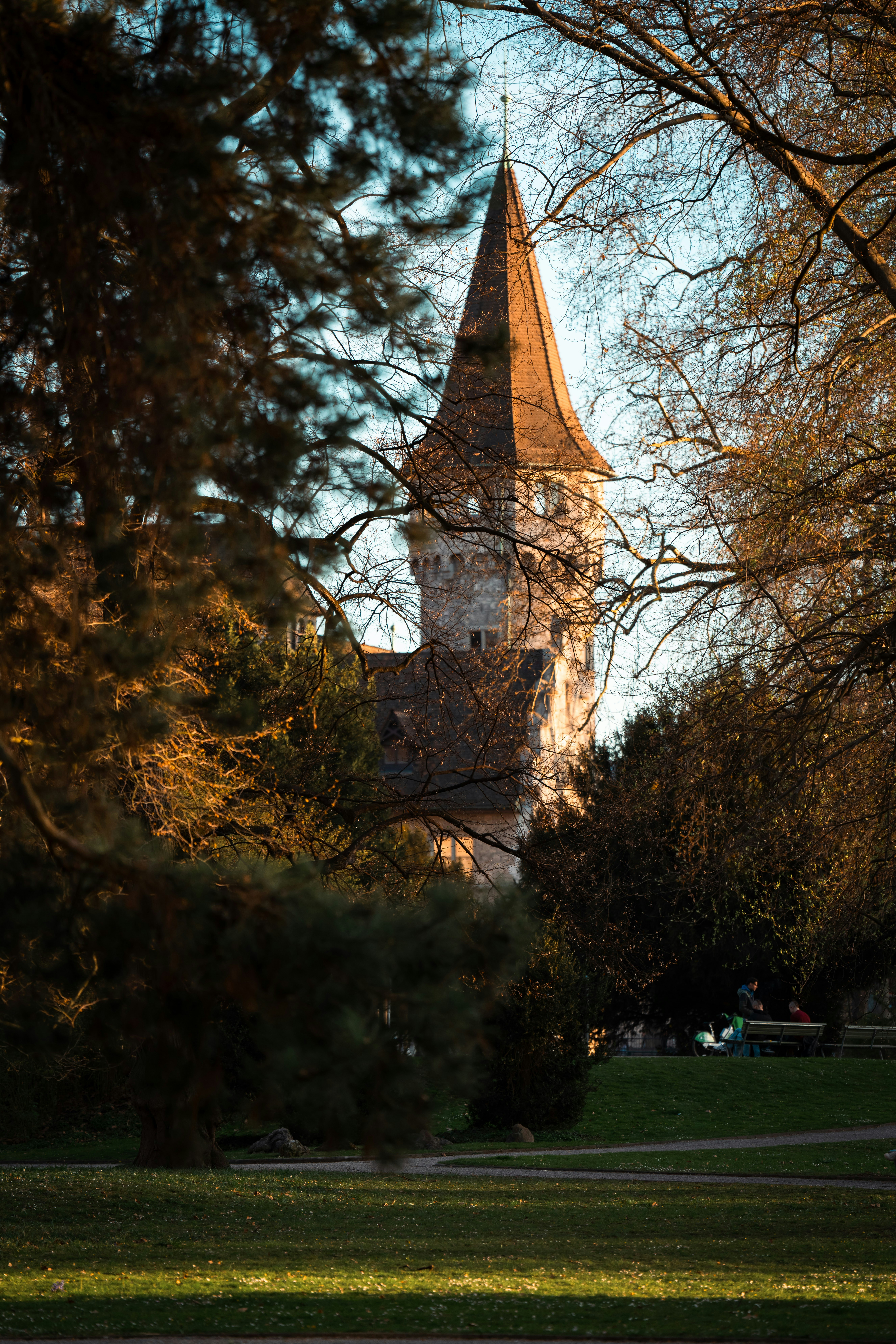 Sunlit Spire Rising Through Autumn Pines