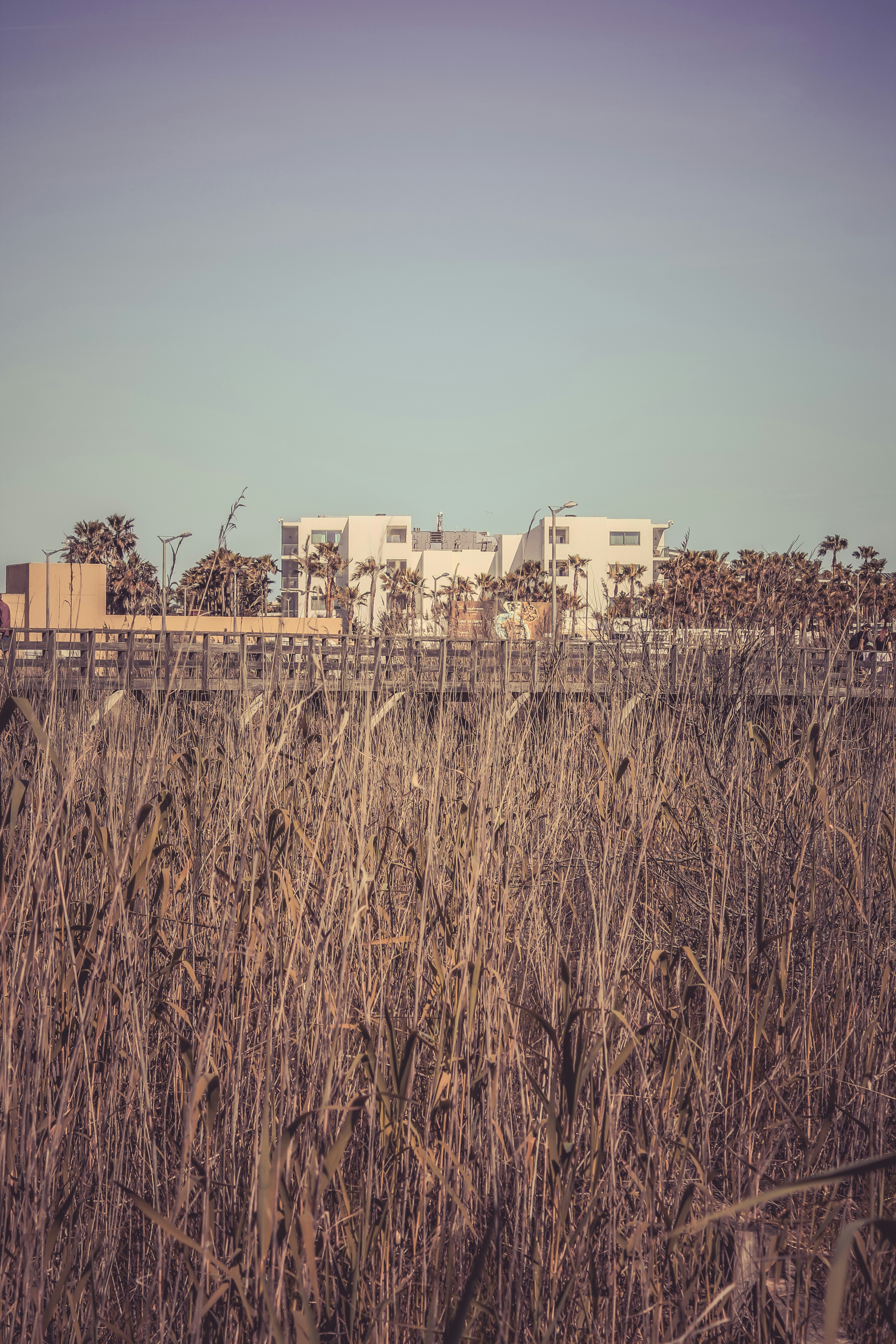 Coastal Dunes and Modern Houses under a Quiet Cobalt Sky