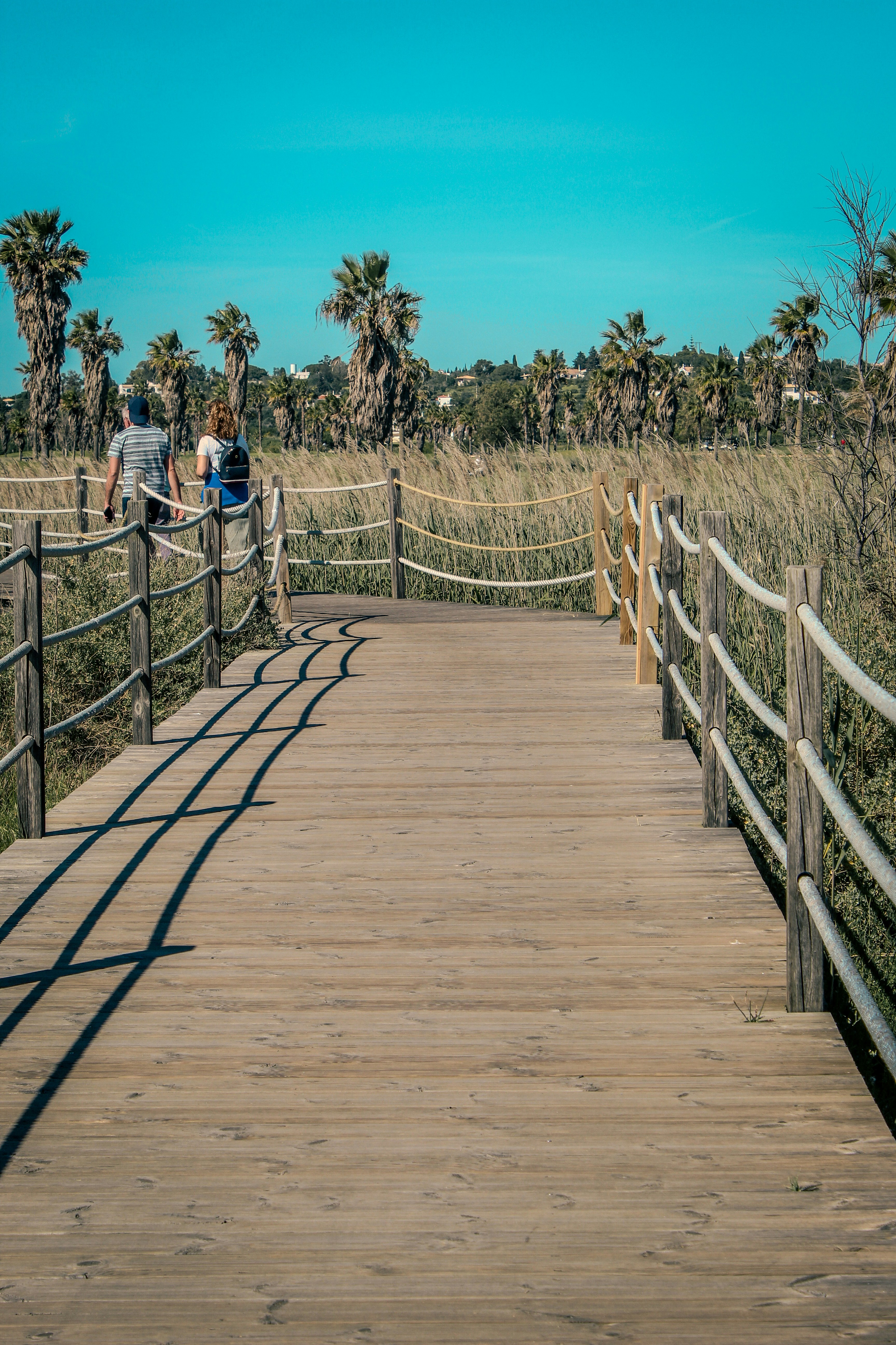 Wooden Boardwalk Toward the Reef: A Quiet Coastal Stroll