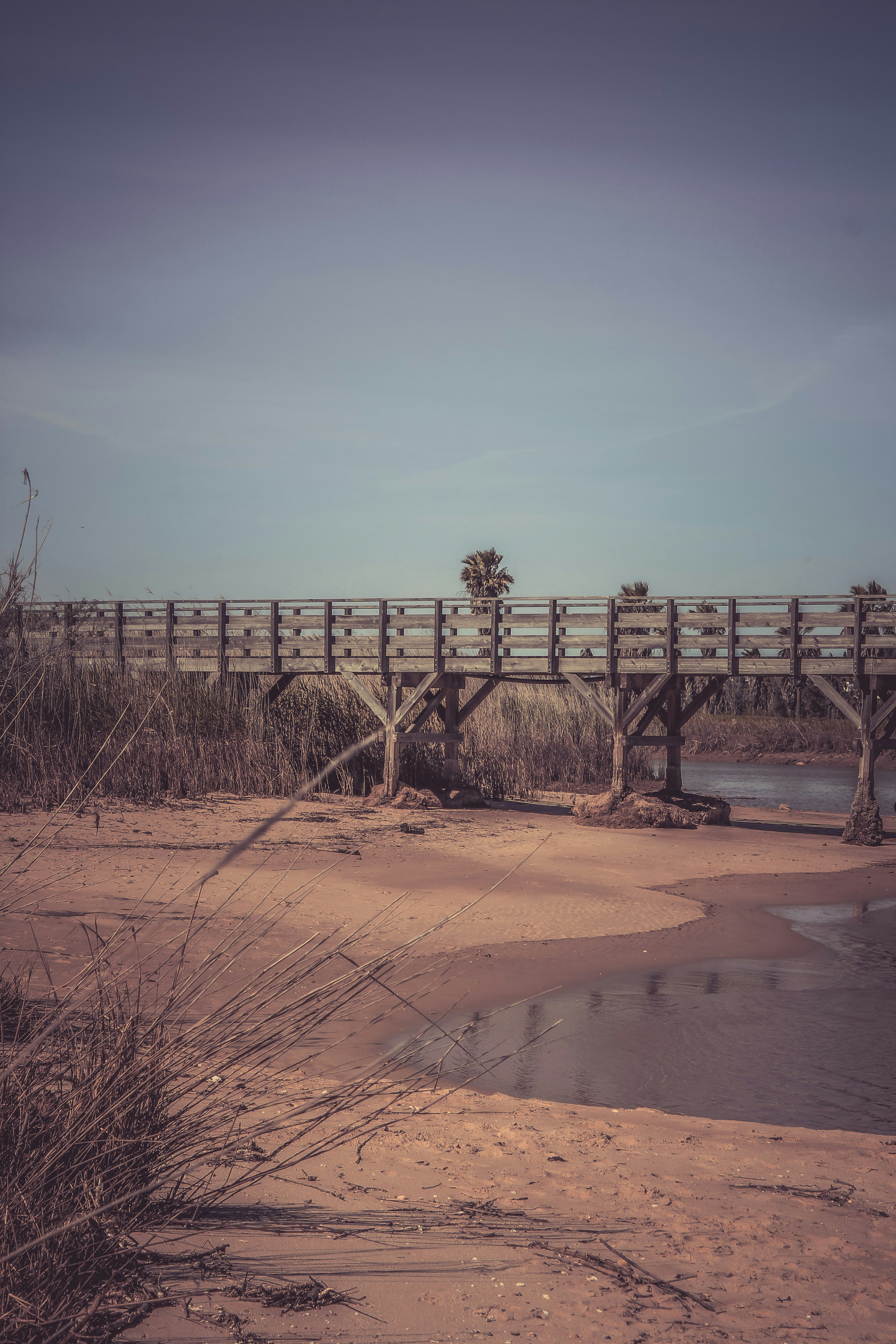 Deserted Boardwalk Over Tidal Sands at Dusk