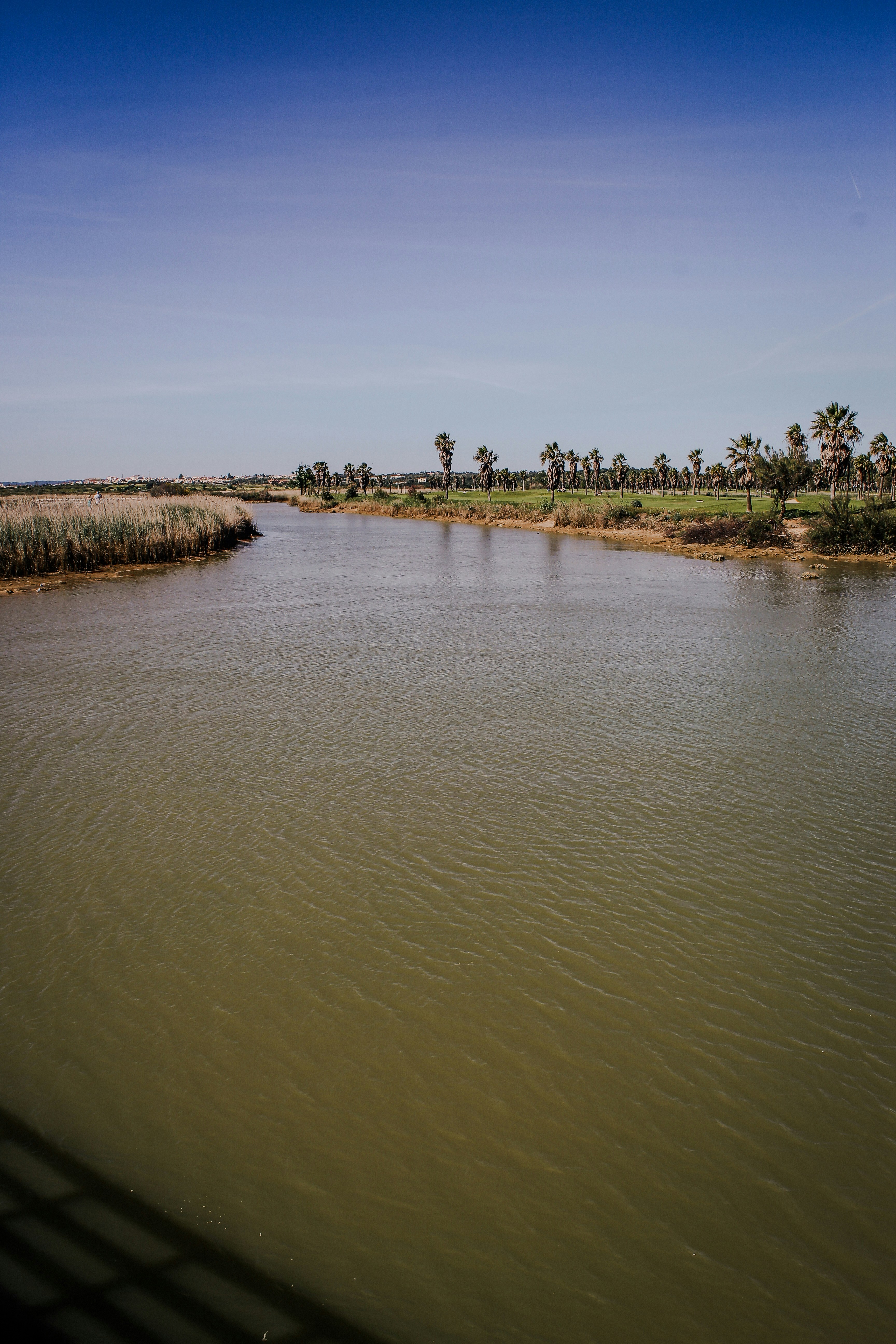 Meandering River Corridor Beneath a Clear Desert Sky