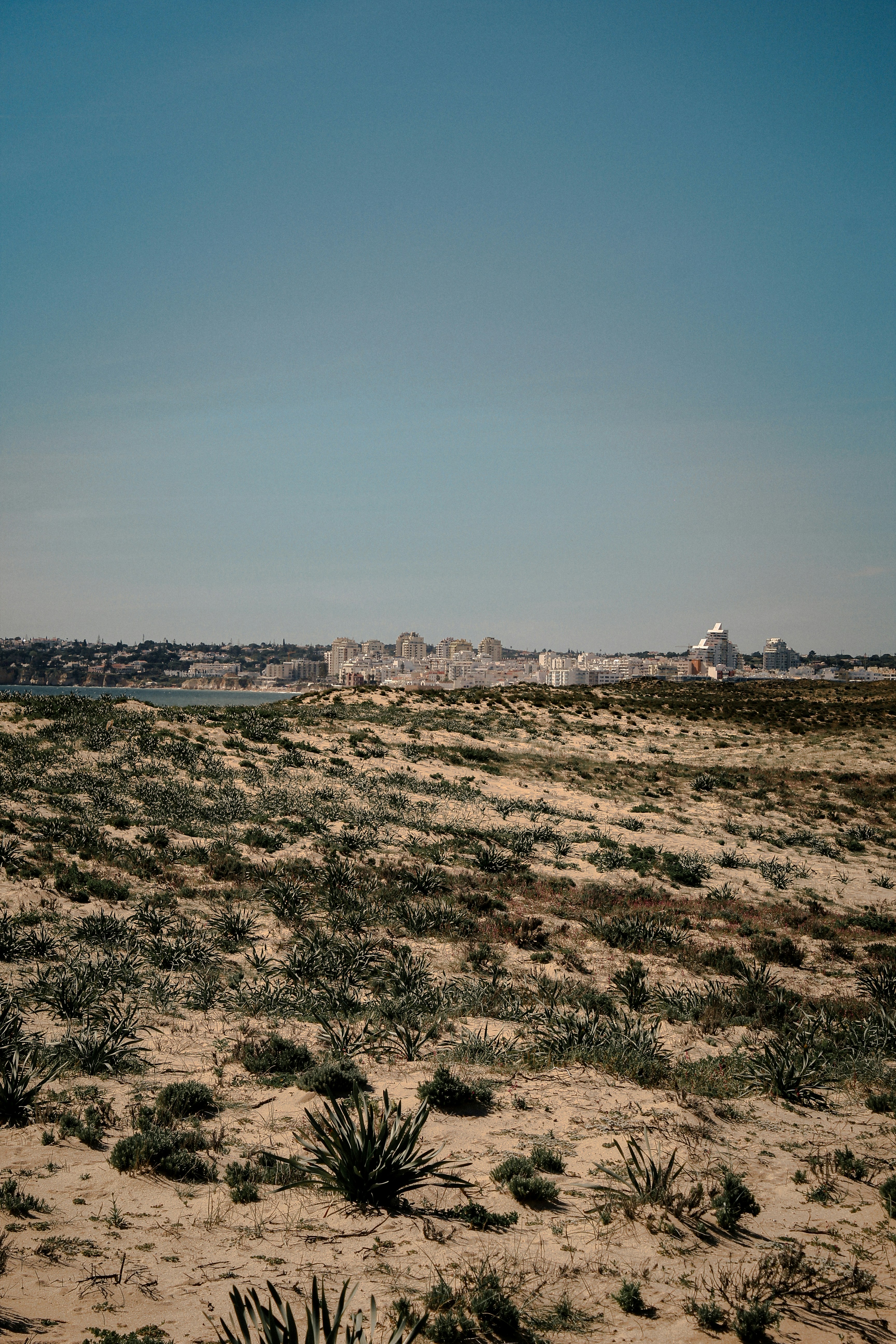 Coastal Dune Horizon: Cityscape Beyond the Deserted Sands