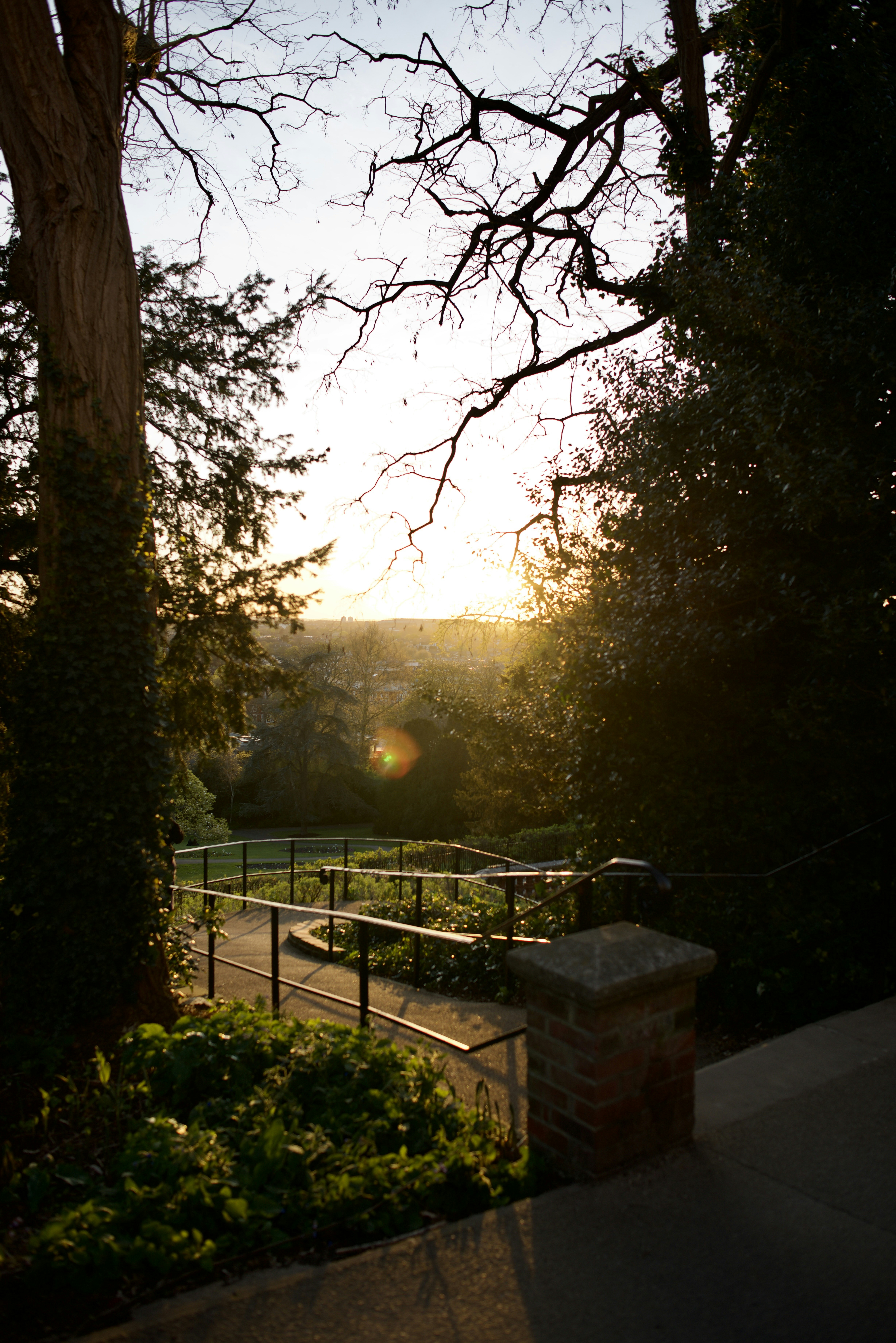 Sunlit Terrace through Trees: Evening Path to the Valley