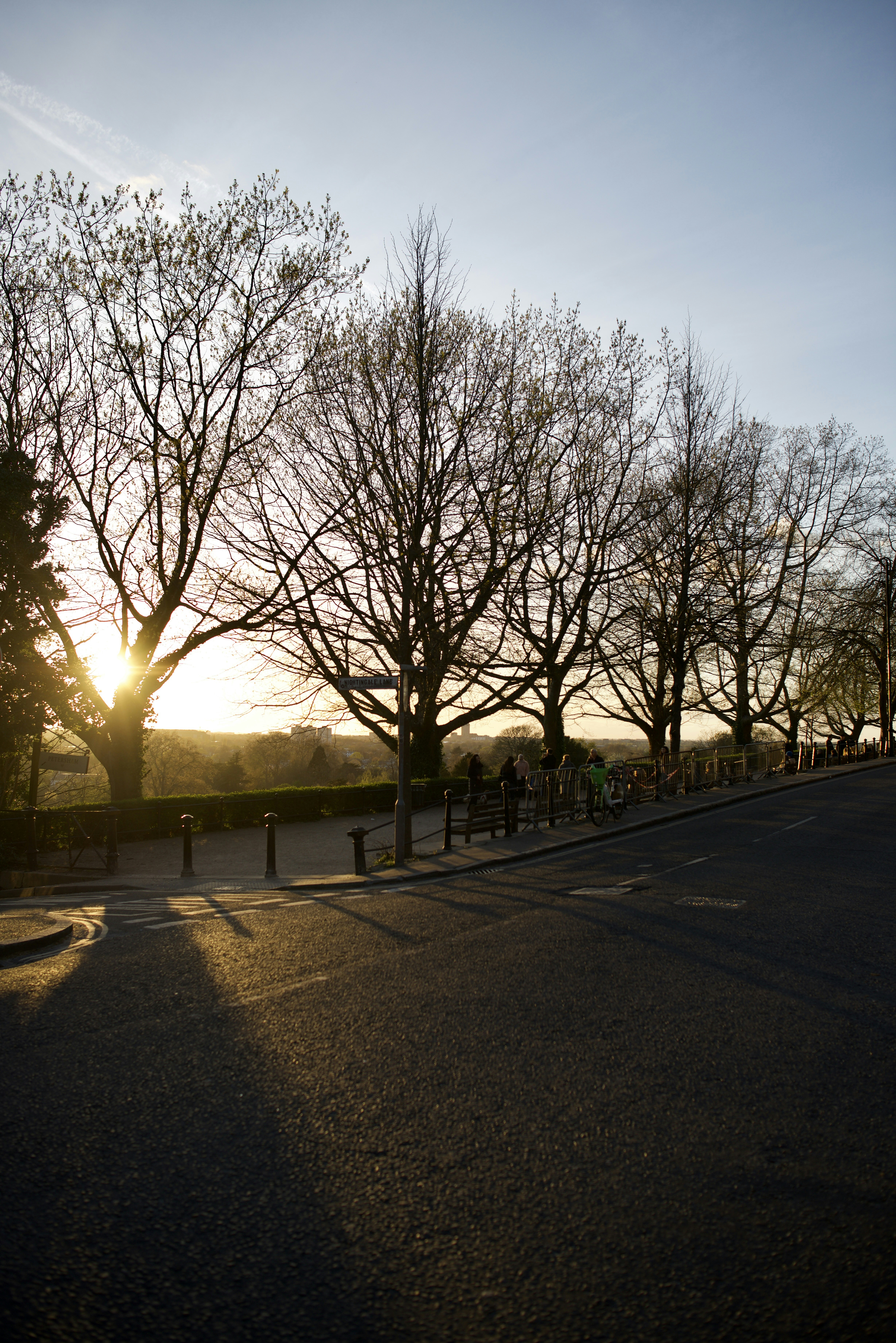 Sunlit Row: Trees, fence, and early shadows along the riverside