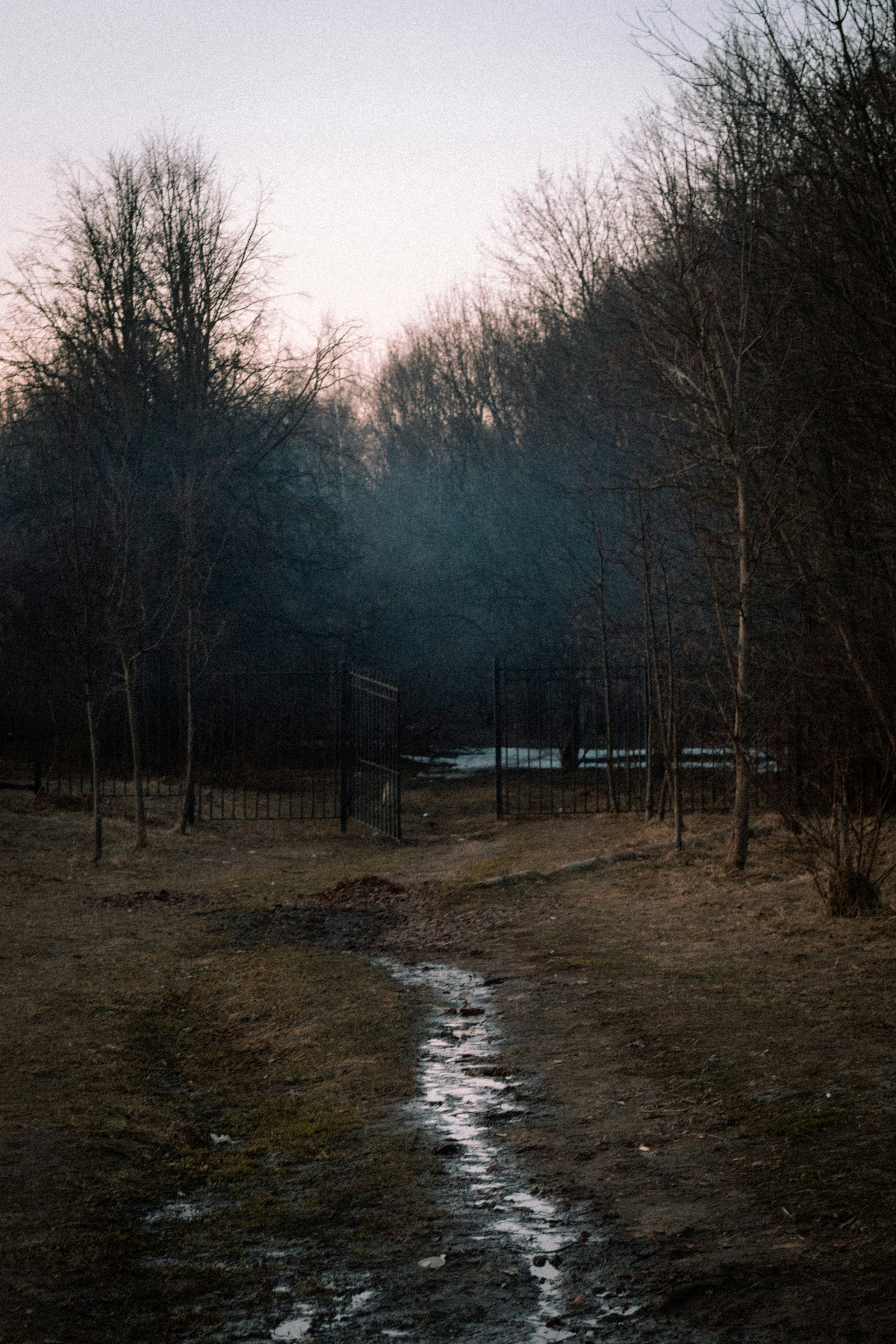 Path through the winter grove toward the opening gate
