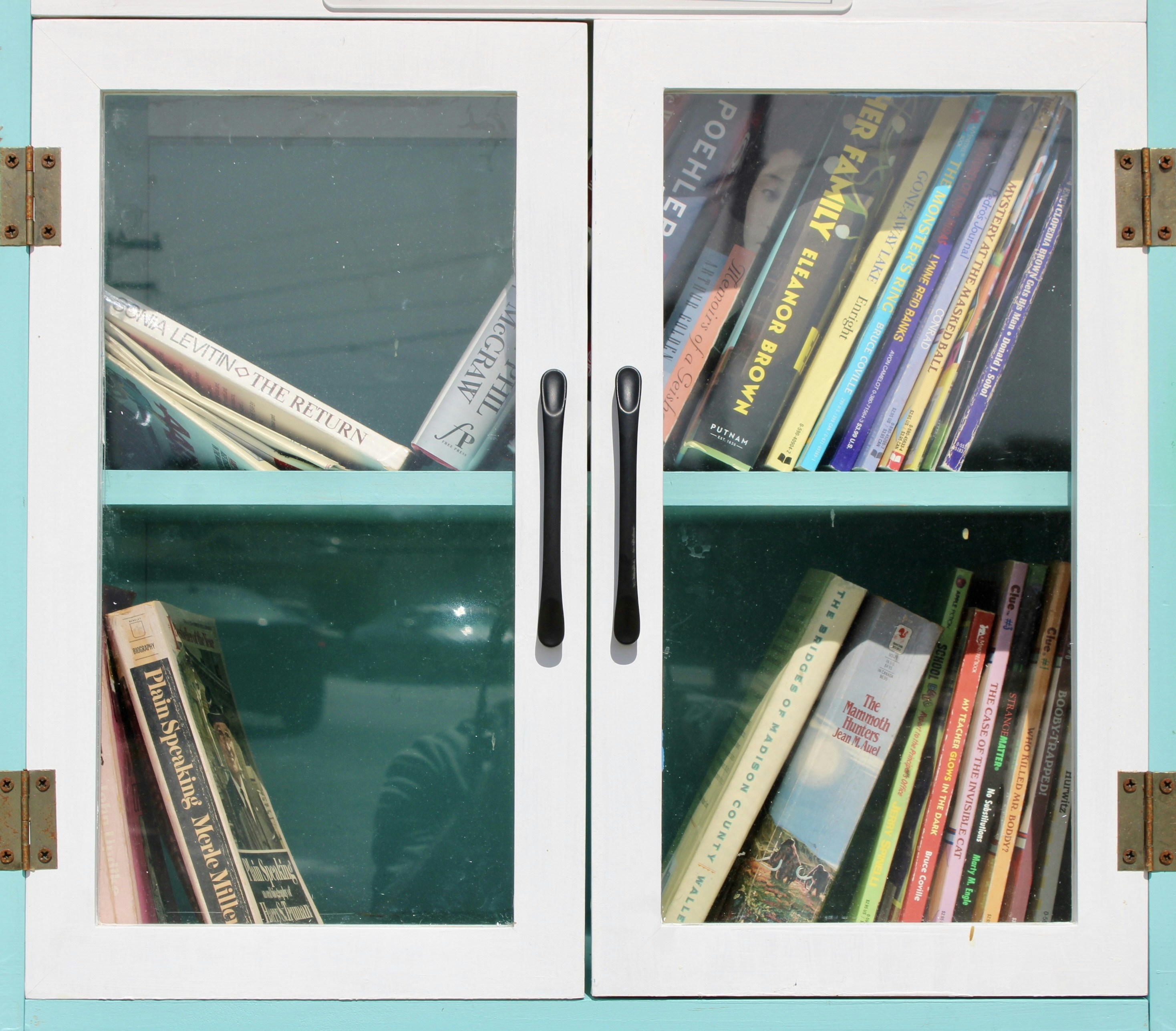 Pastel-Tinted Library Cabinet: A Quiet Stash of Books Behind Glass