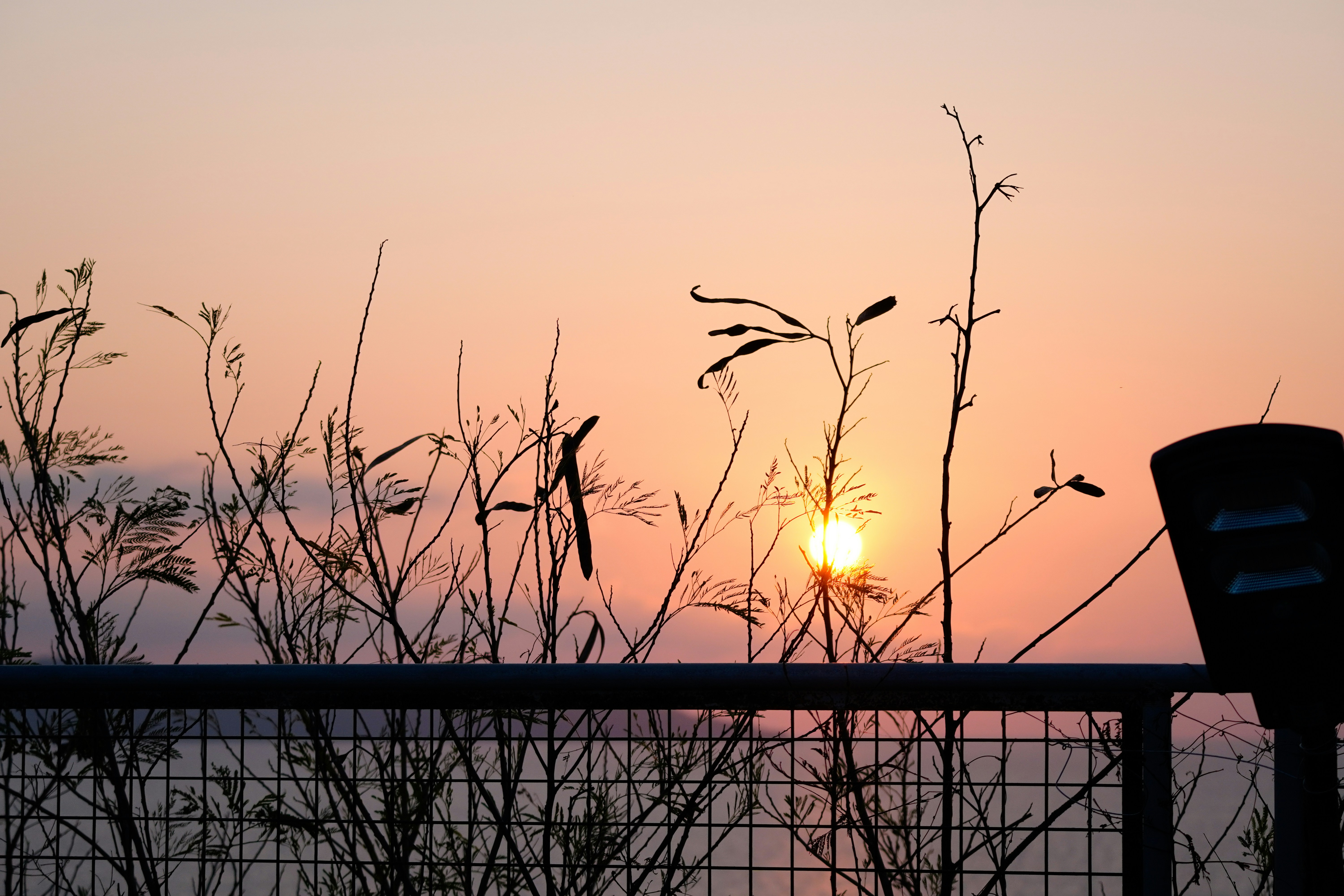 Sunrise on the Railing: Silhouettes at Dusk
