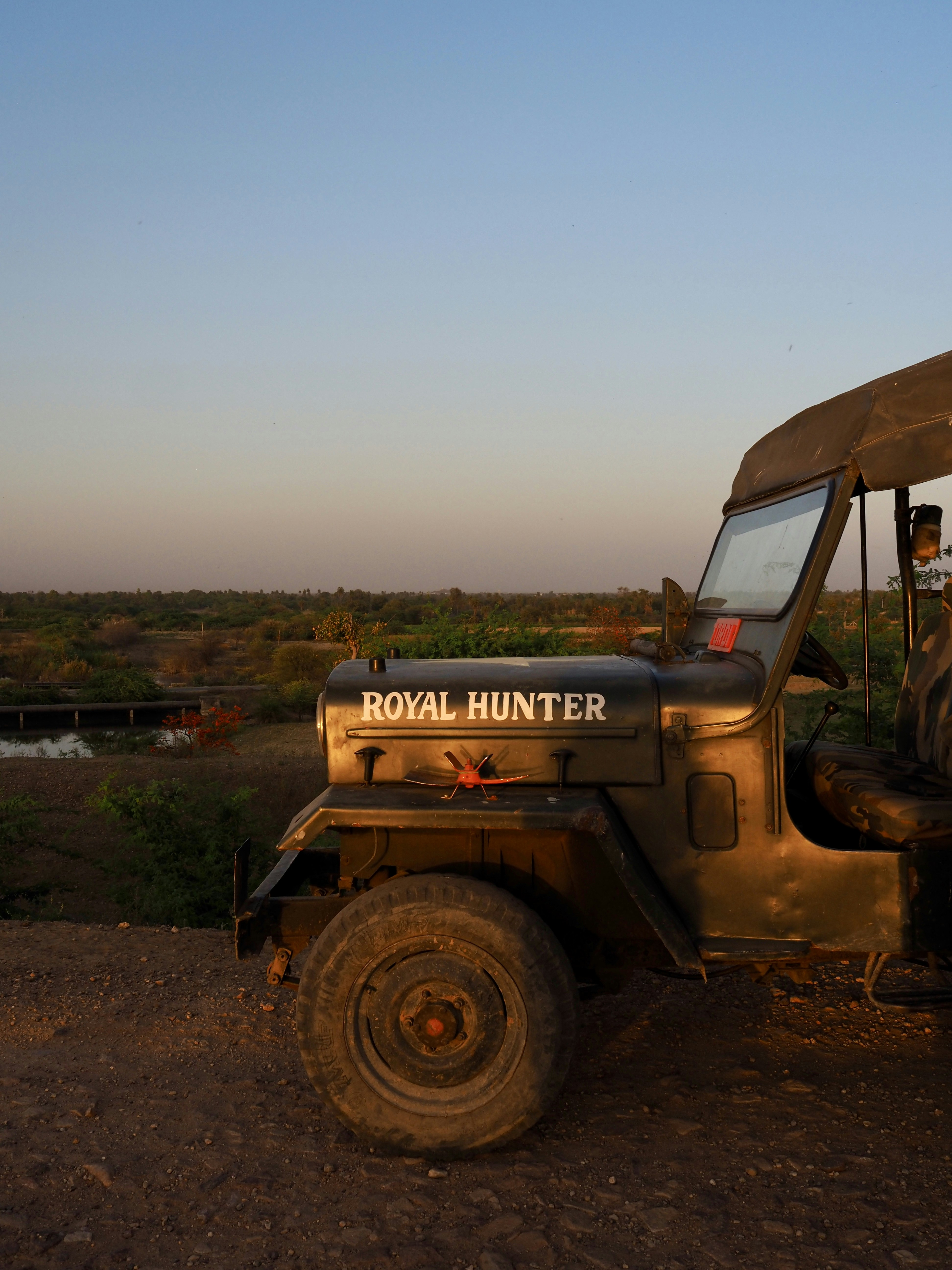 Royal Hunter in the Distant Dust: A Jeep at Golden Hour