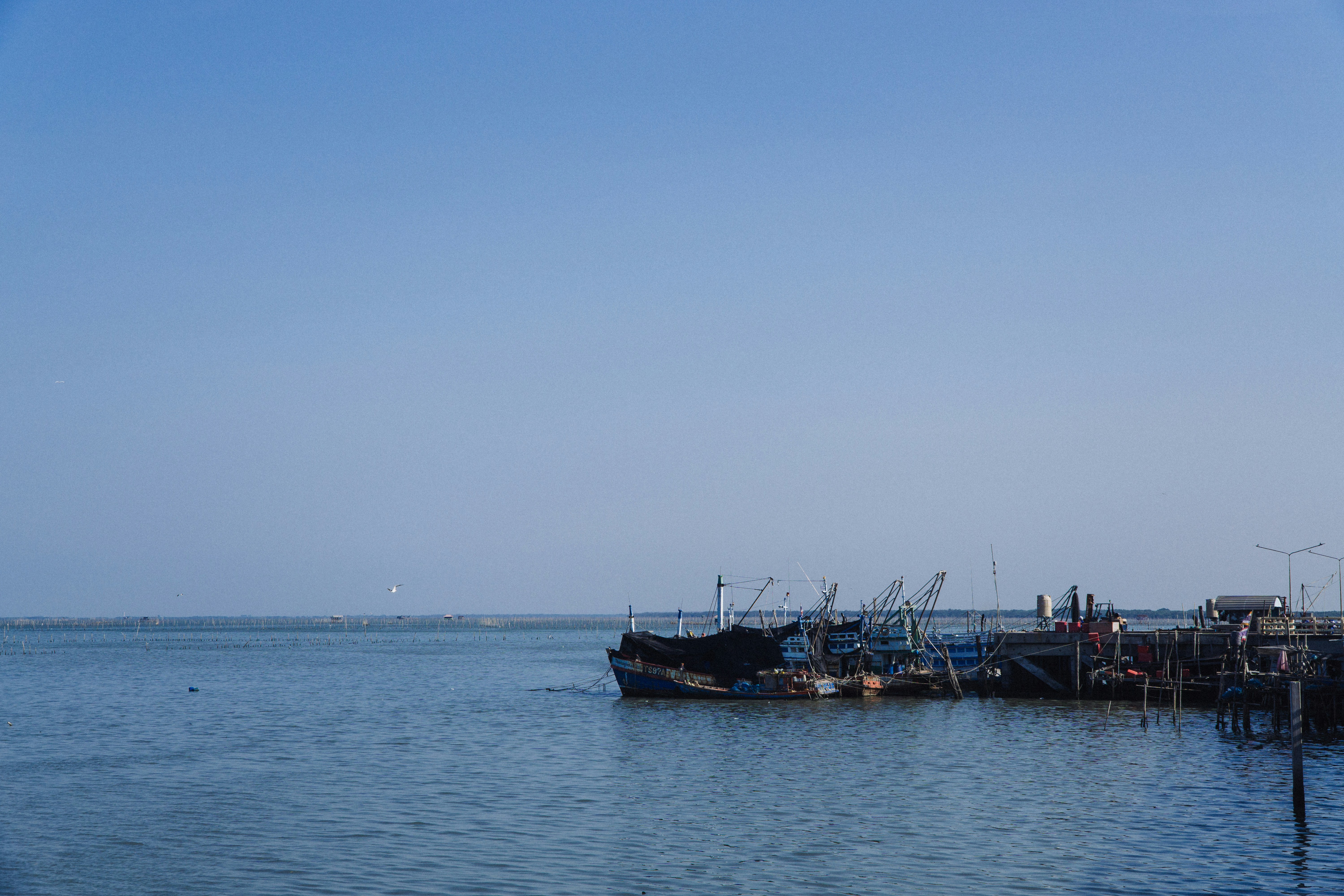 Harbor Docks at Dusk: A Quiet Line of Boats Rest on Calm Sea