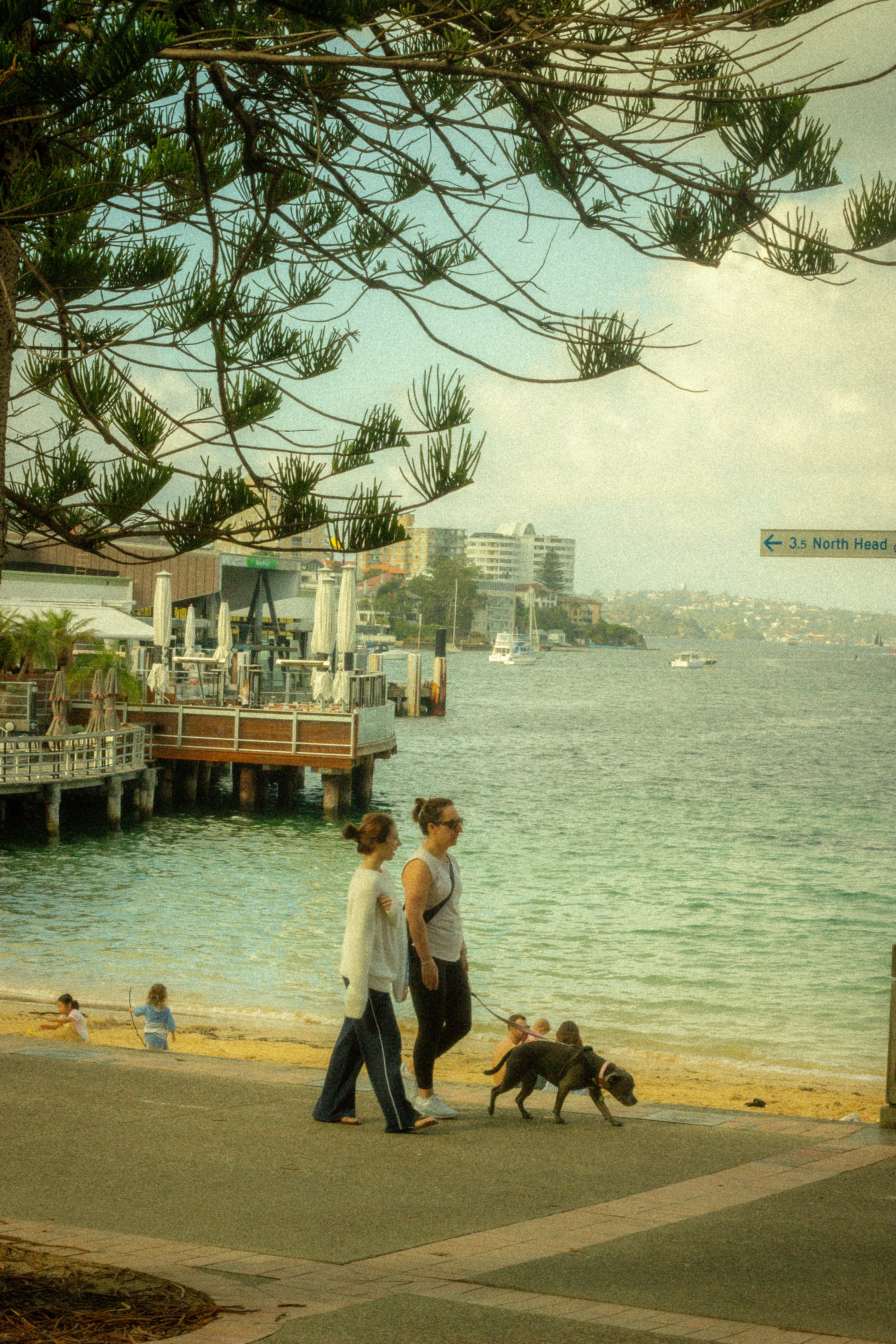 Stroll by the Seaside: Two Friends and a Beach-Wollowing Dog Along a Marina Walk