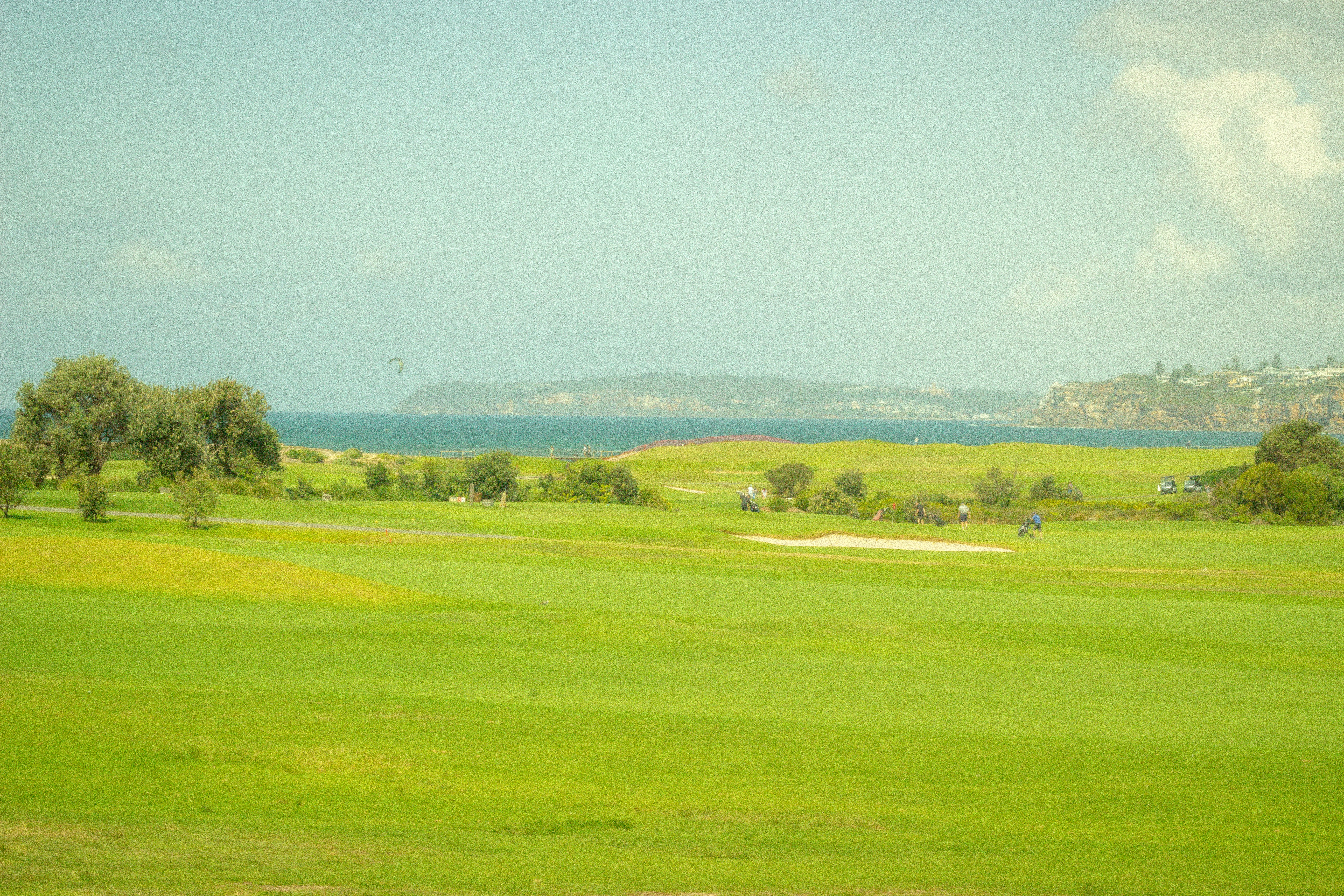Coastal Green: a sunlit greenscape meets distant shore