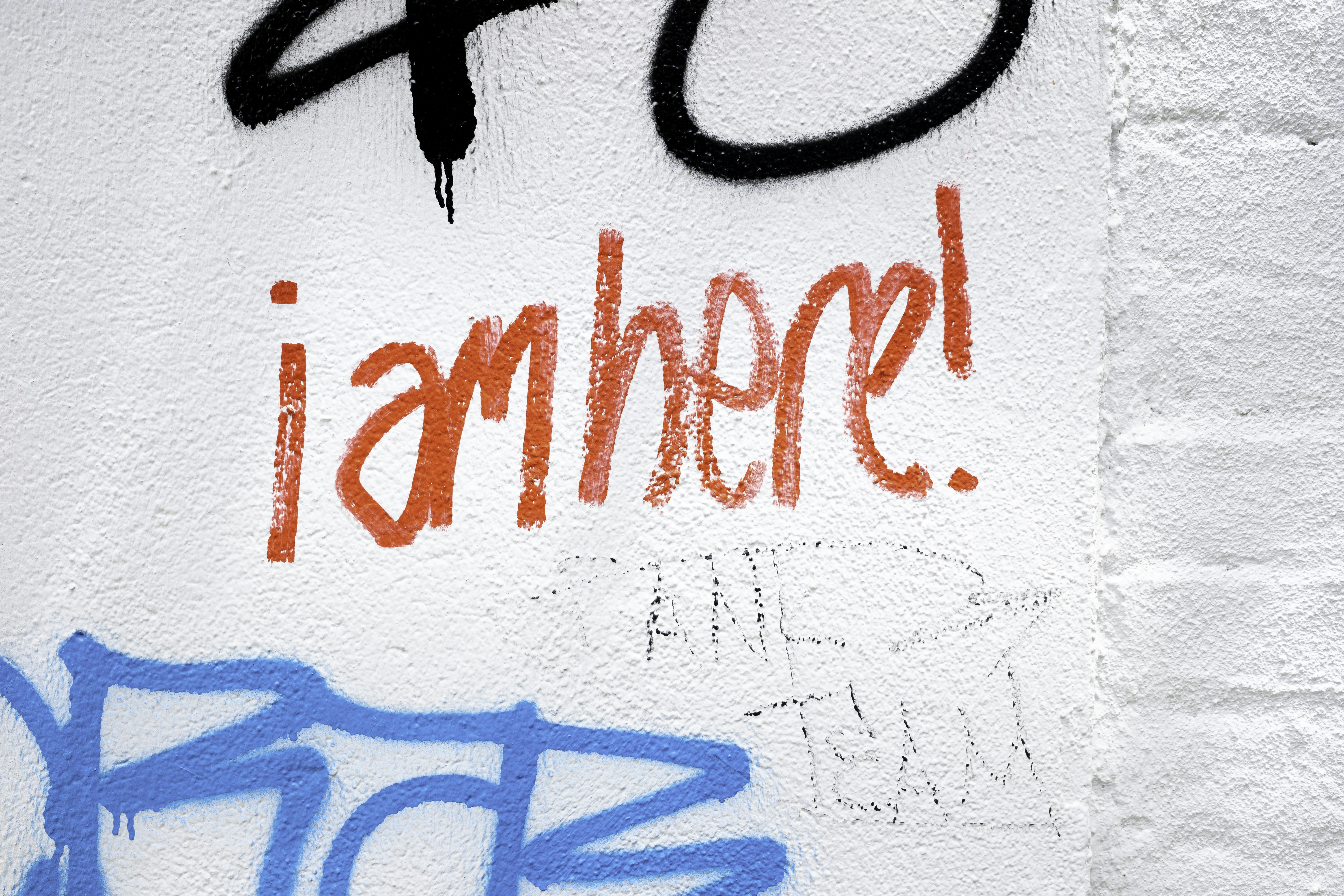 Graffiti Recluse: Red Scripted Echoes on a White Wall