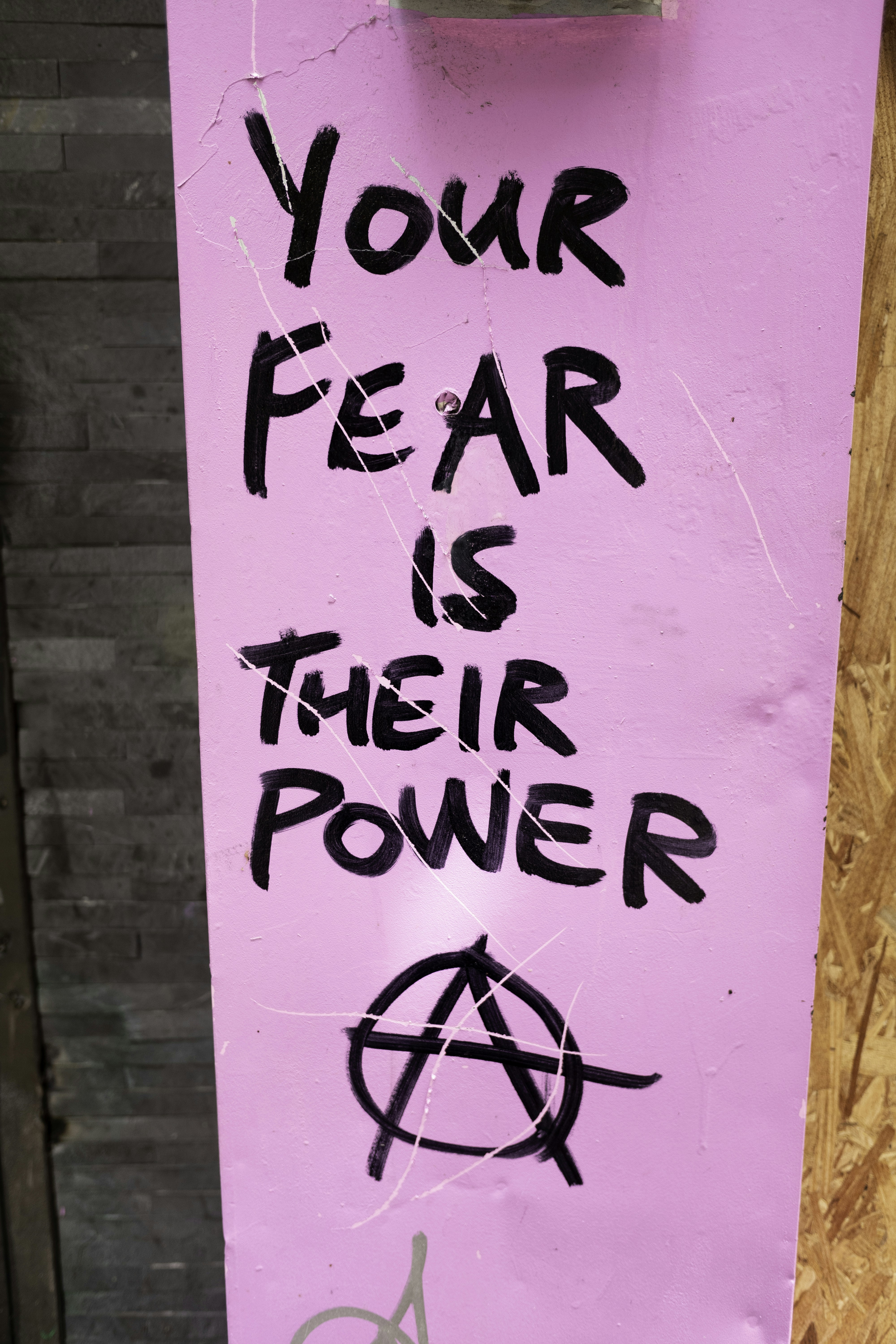 Power in Pink: An Anarchist Stencil Stands Bold