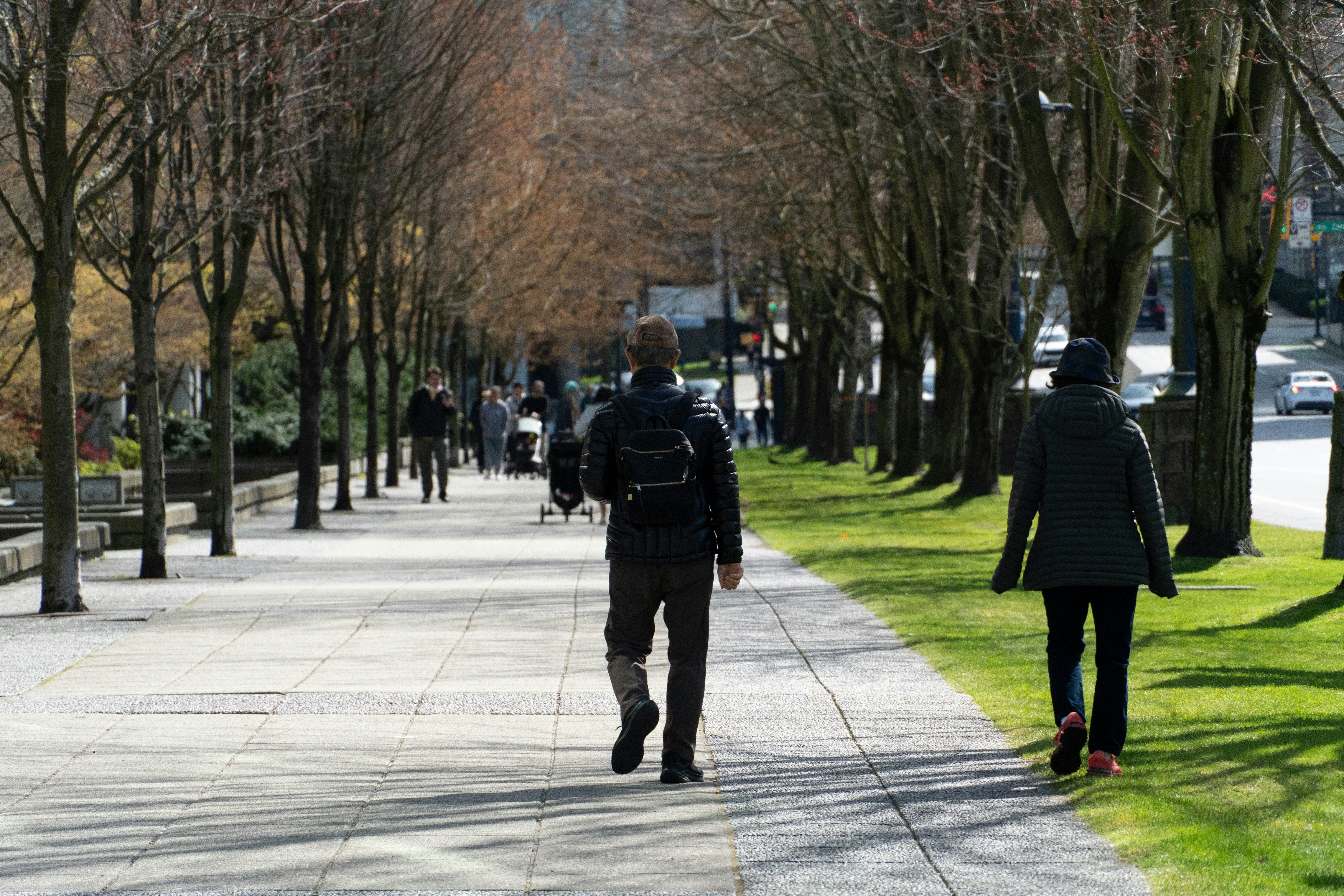 Pedestrian Alley: A Walk Through a Tree-Lined City Promenade