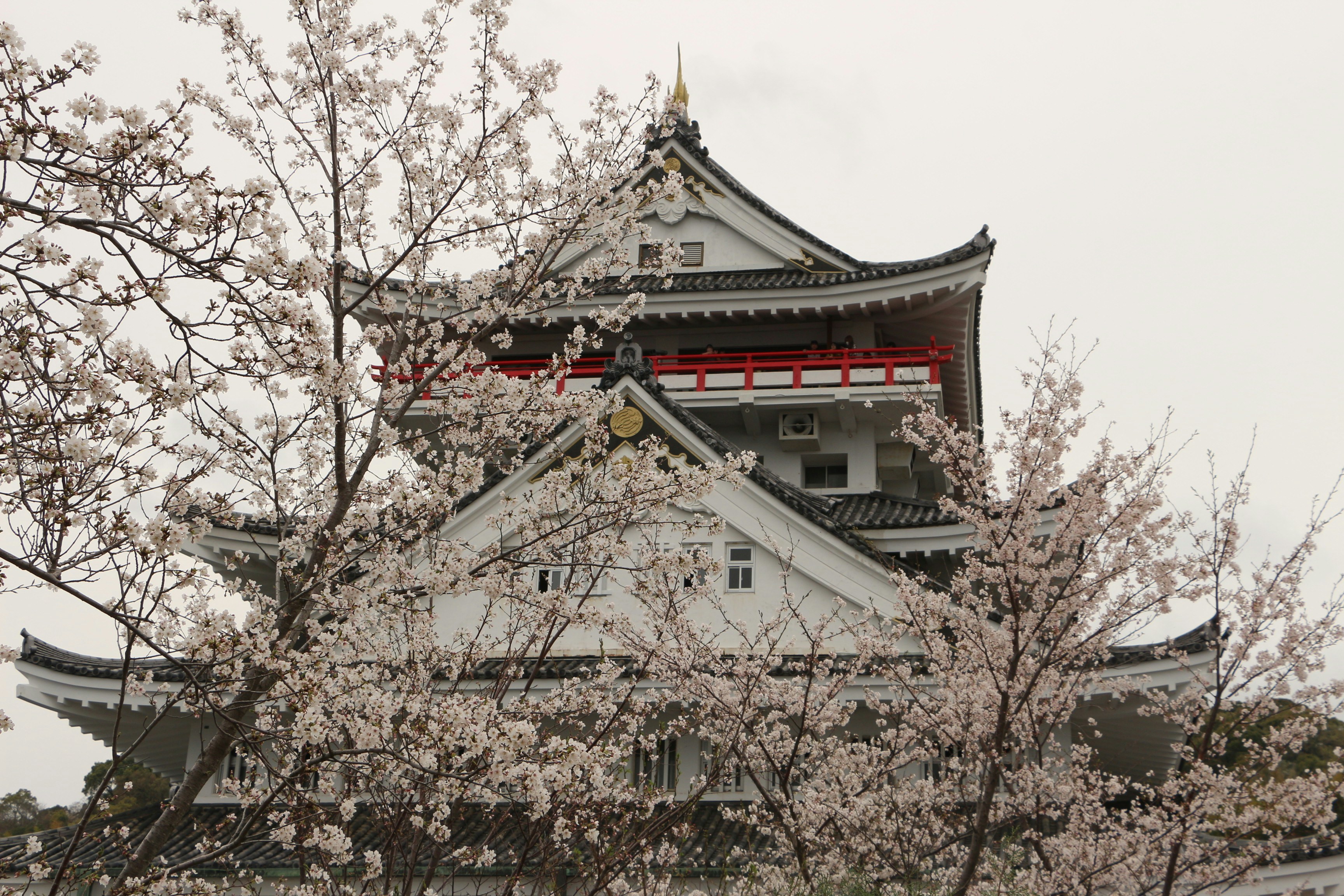 Blossoms Embrace a Traditional Castle