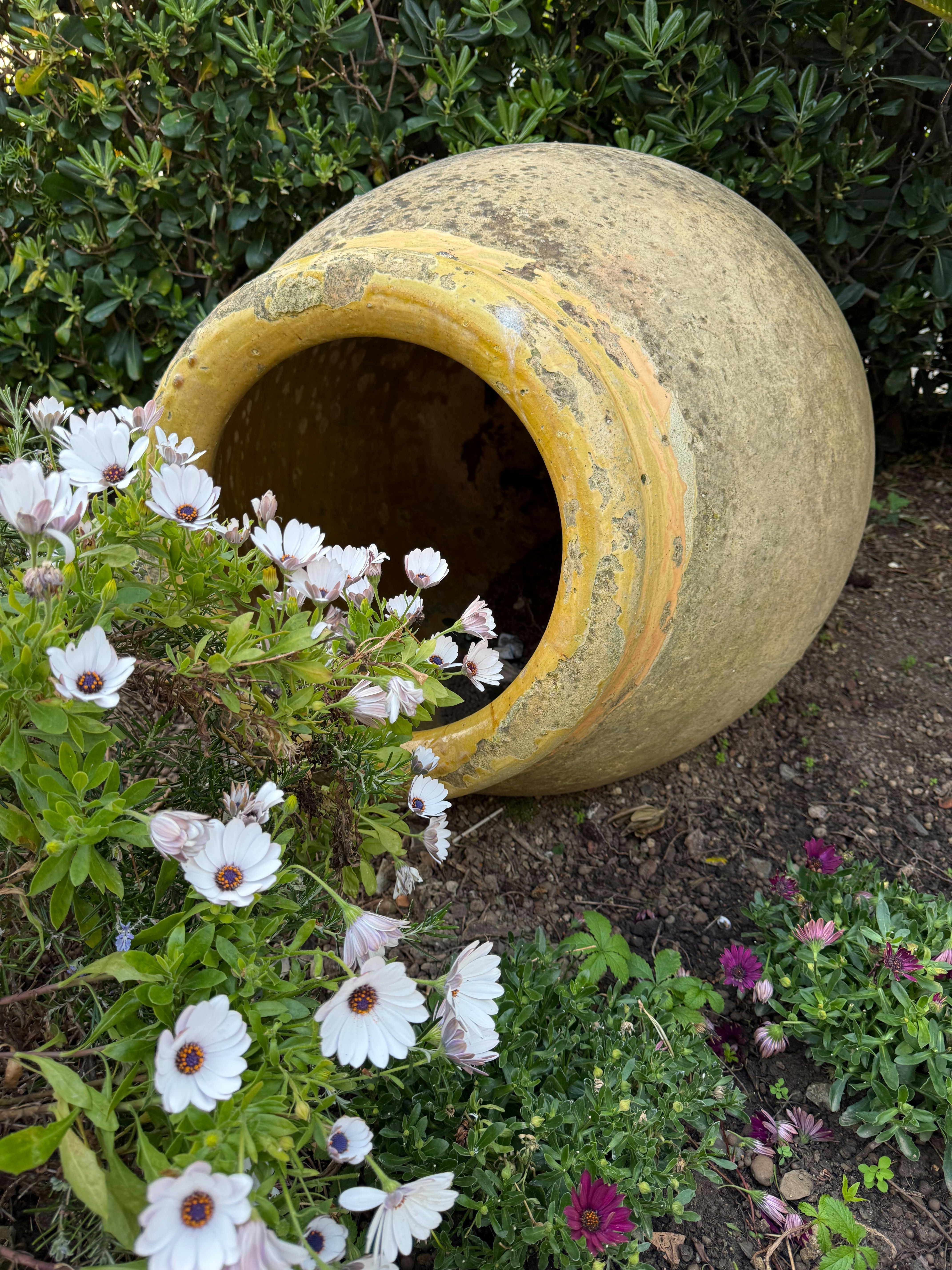 Weathered Vase Tumble: A Blooming Corner by the Garden