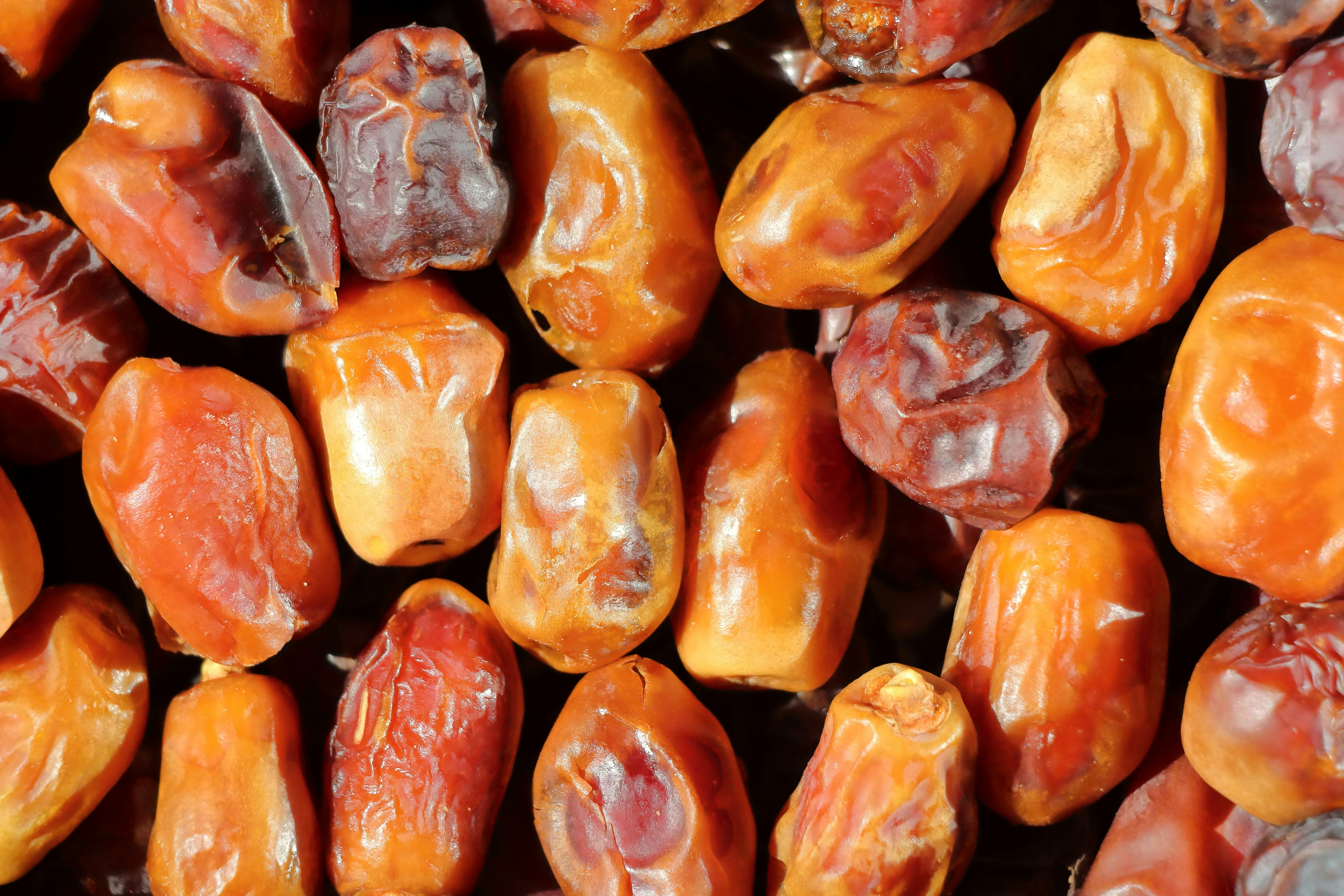 Amber Harvest: a close-knit field of sunlit dates
