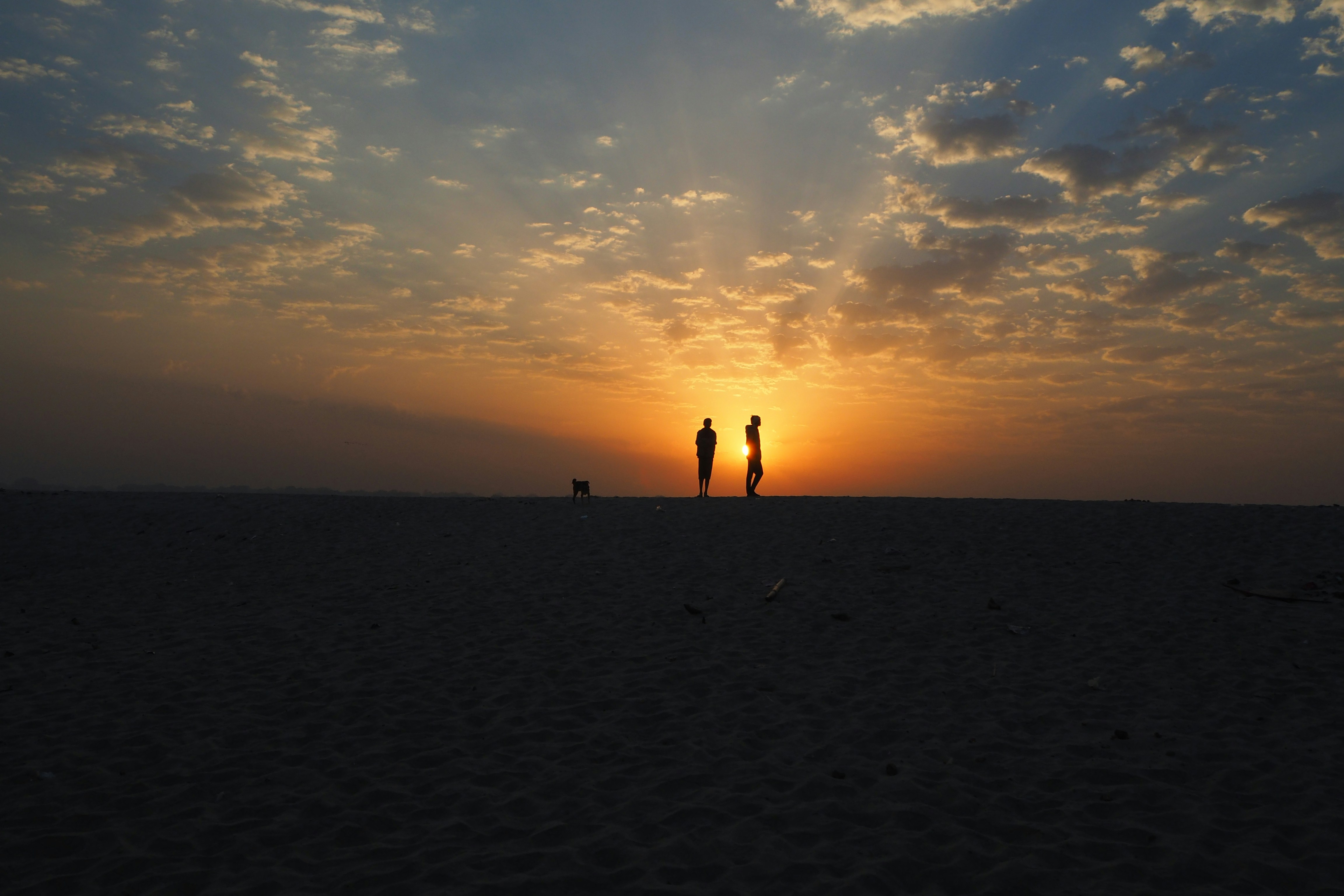 Silhouettes at Dusk: A Quiet Beach Goodbye
