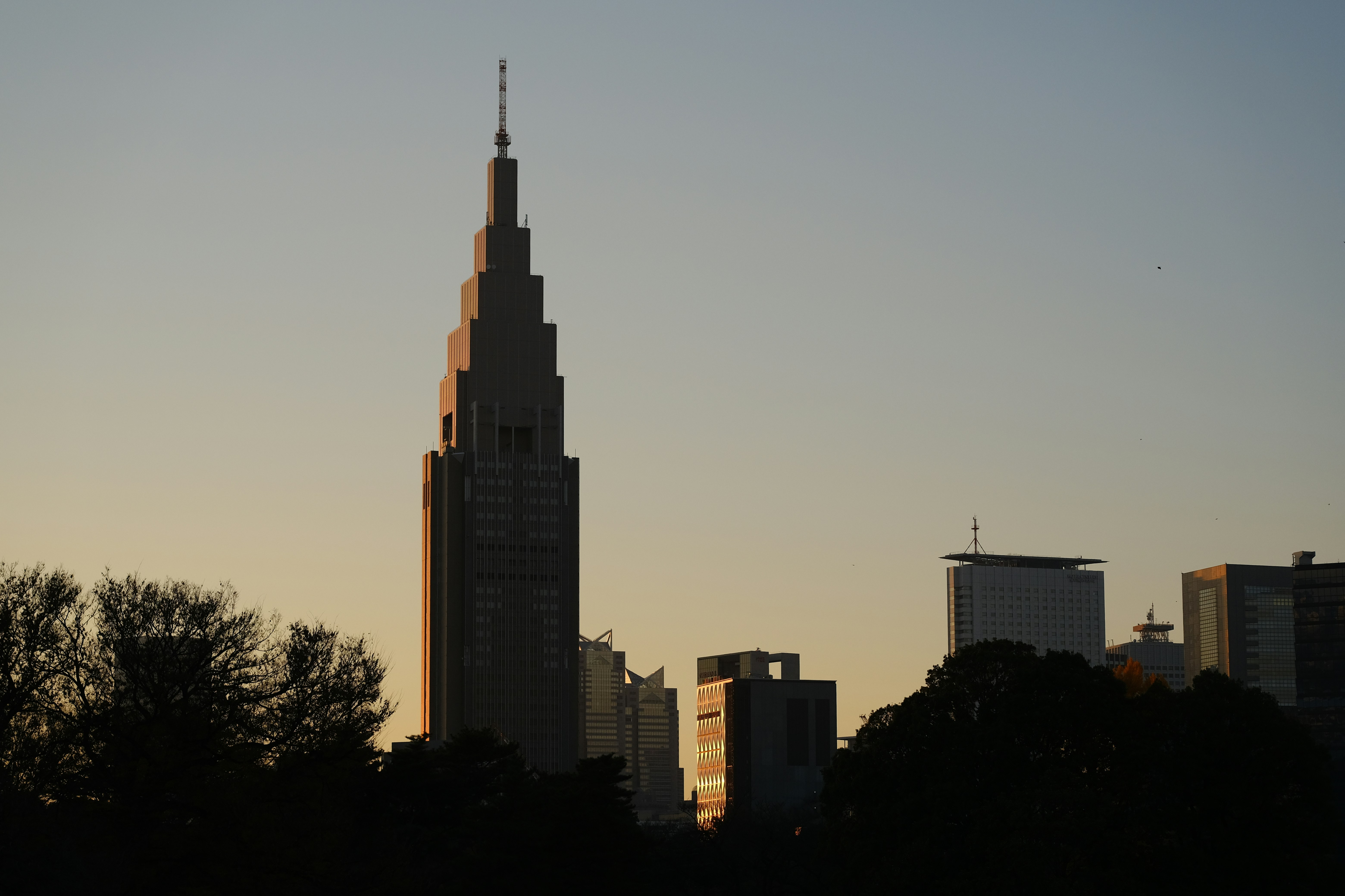 Silhouette Crest: A City Skyline at Dusk