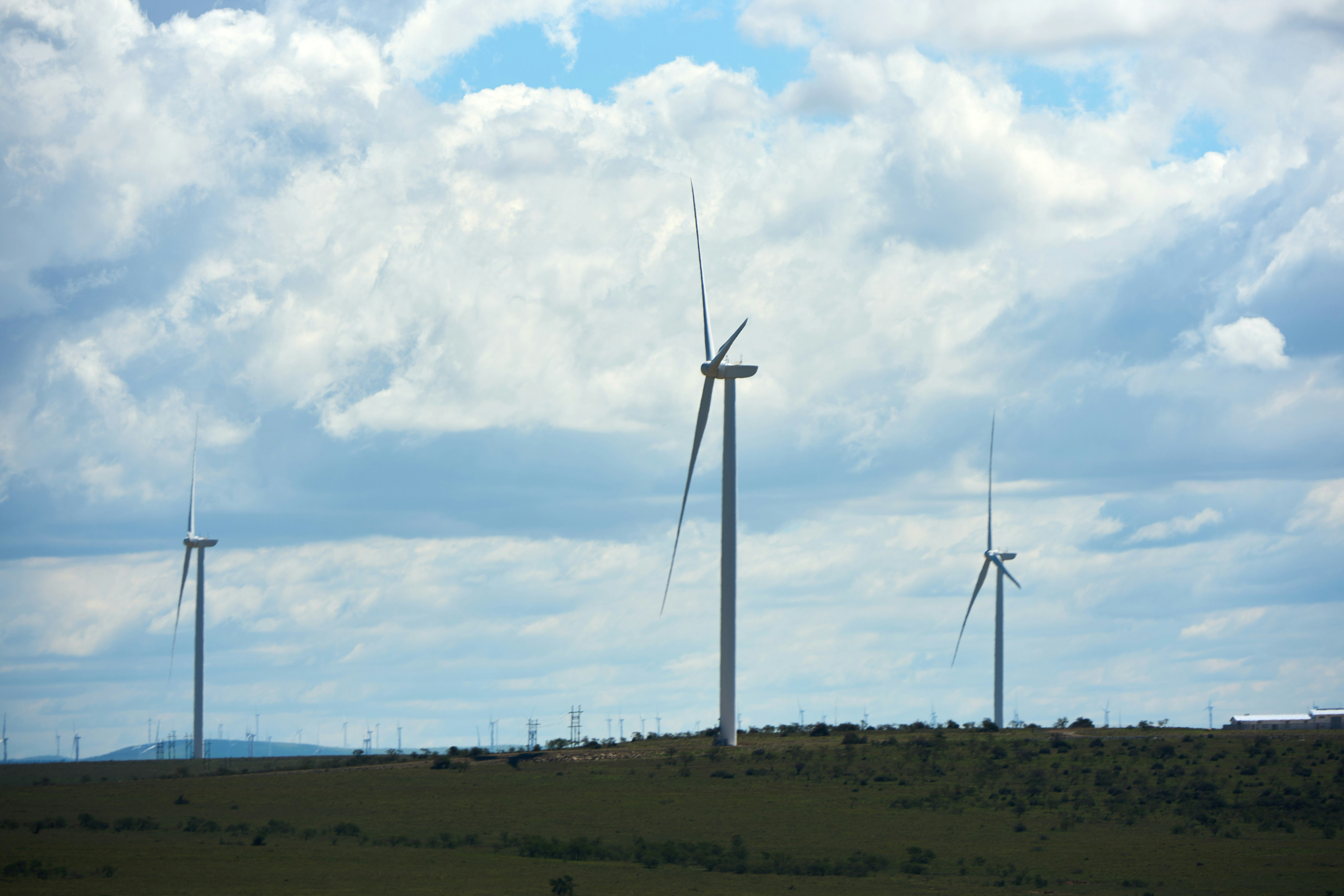 Windward Giants: A Quiet Horizon with Towering Turbines