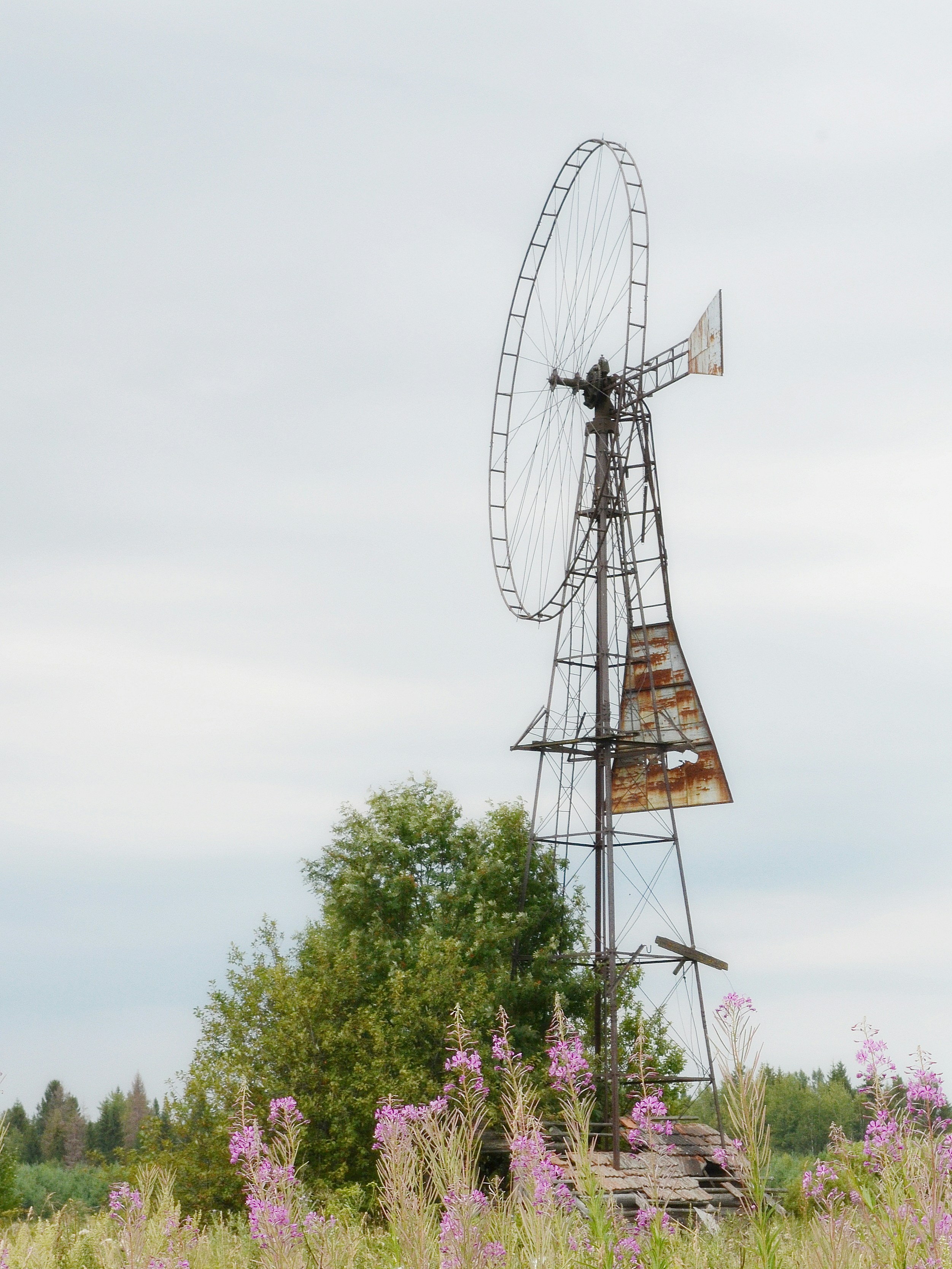 Rusting Windmill silhouette over wildflower field