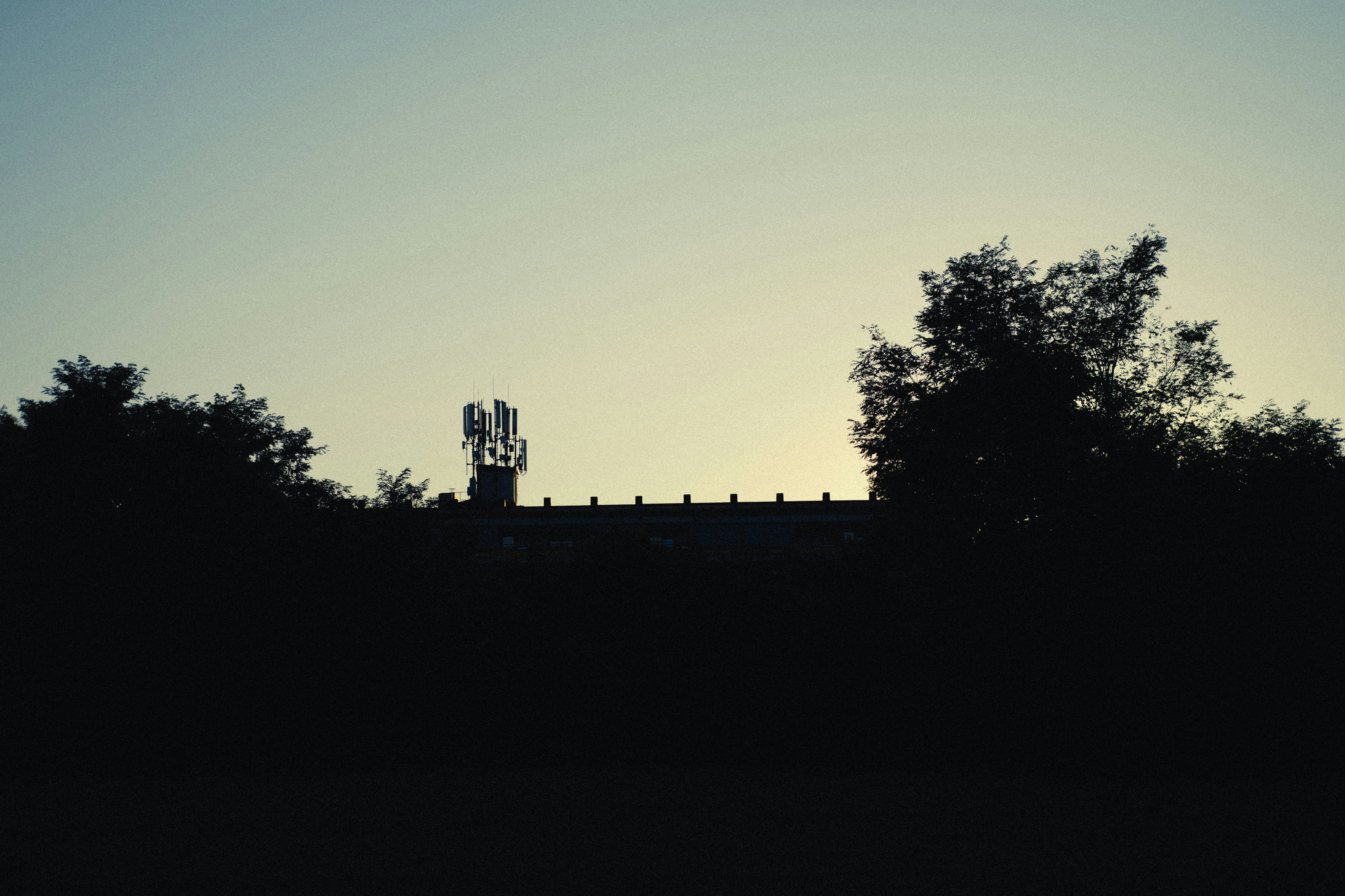Dawn Silhouette over the Quiet Horizon