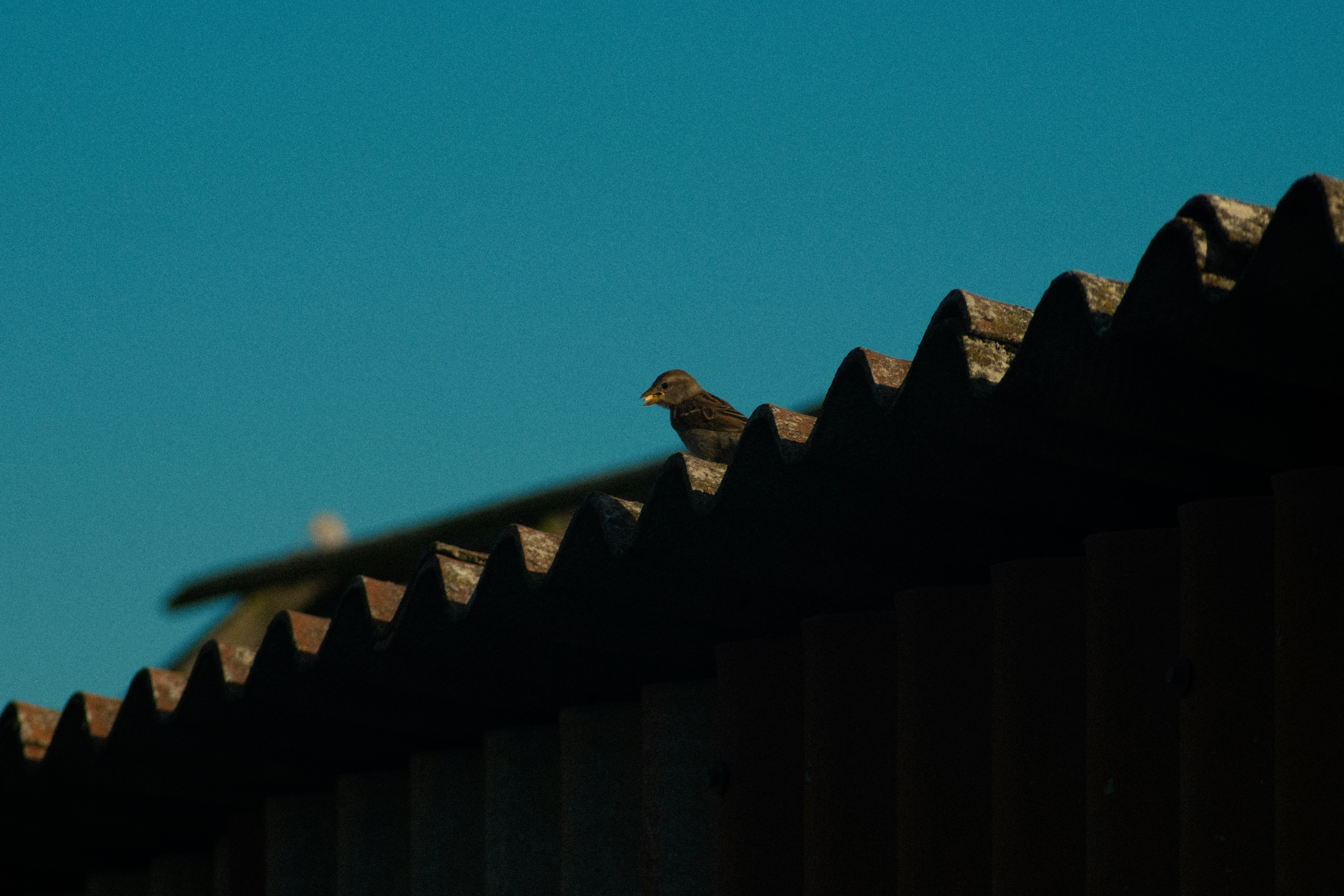 Ridge Lines: A Quiet Silhouette Against a Clean Sky