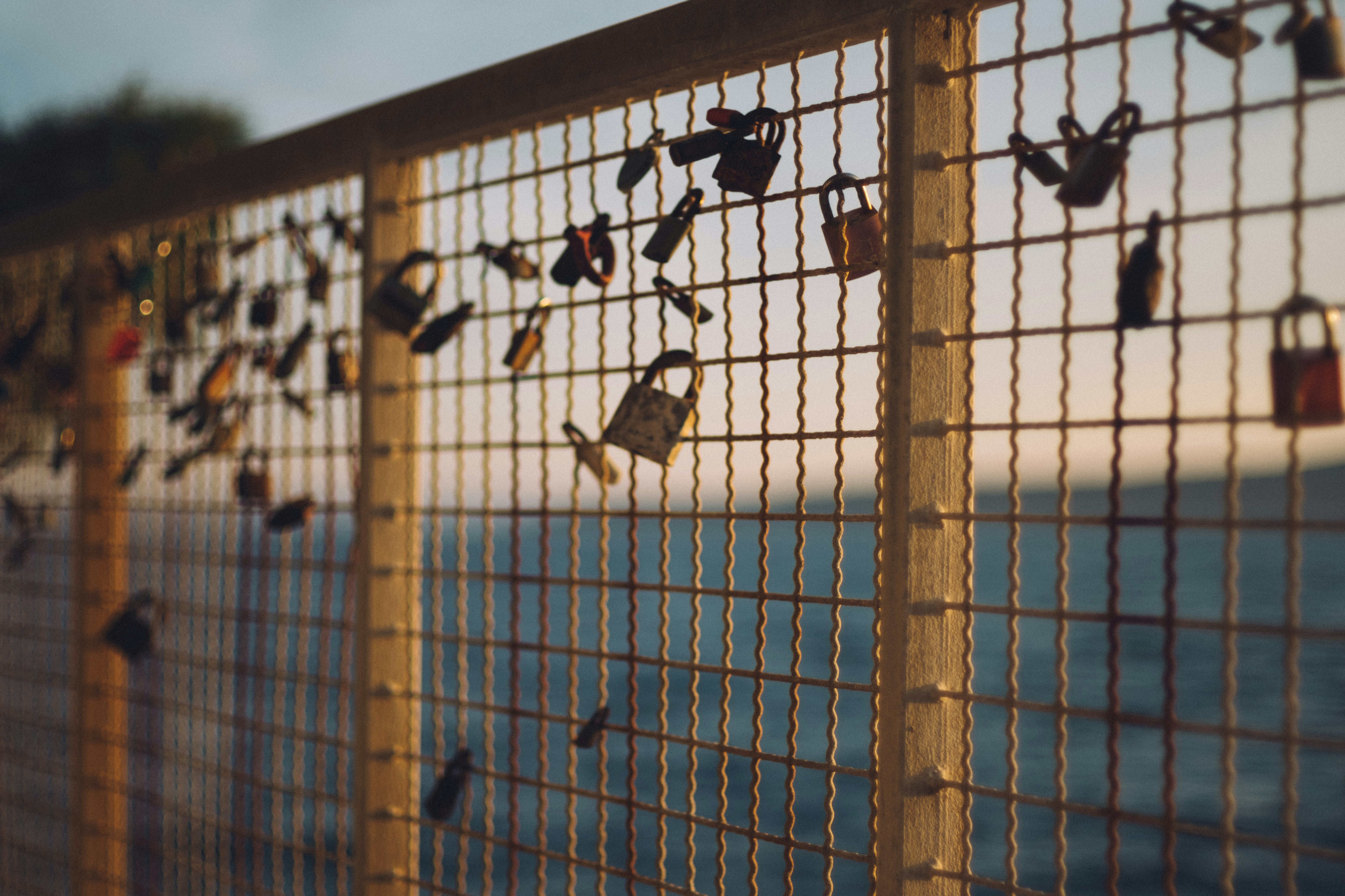 Locks on a Sea-Edge Fence: A Quiet Moment by the Waterfront