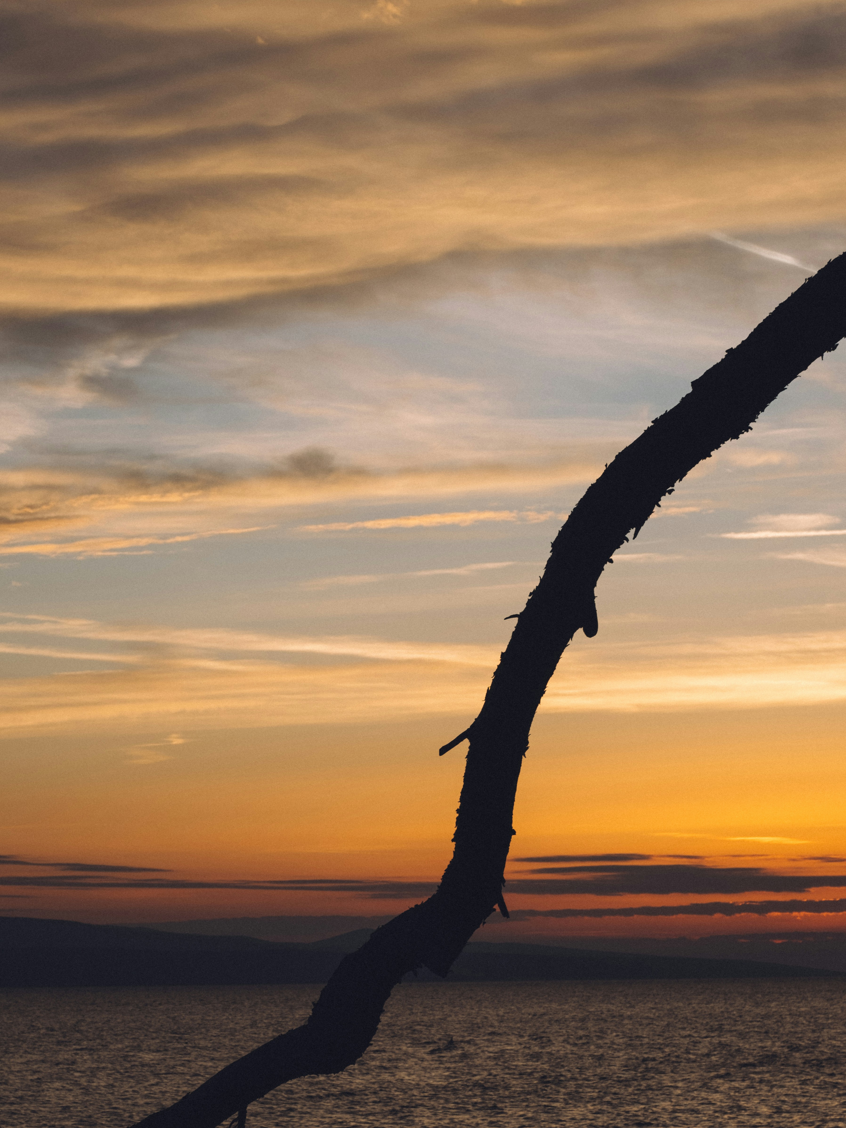 Arc of Silence: A Sunset Embrace of Barred Horizon