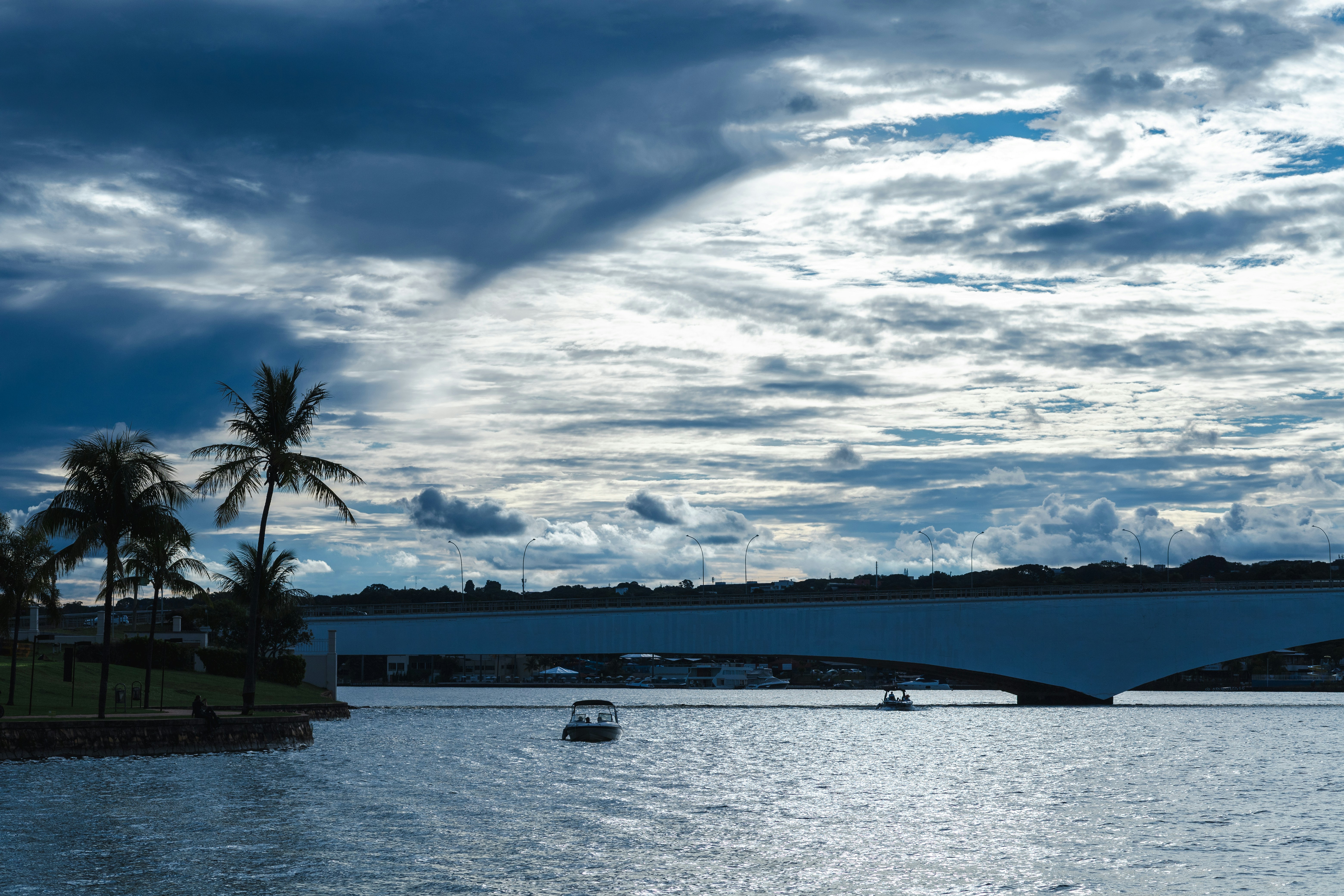 Palm-lined harbor under dramatic crested clouds and a modern bridge