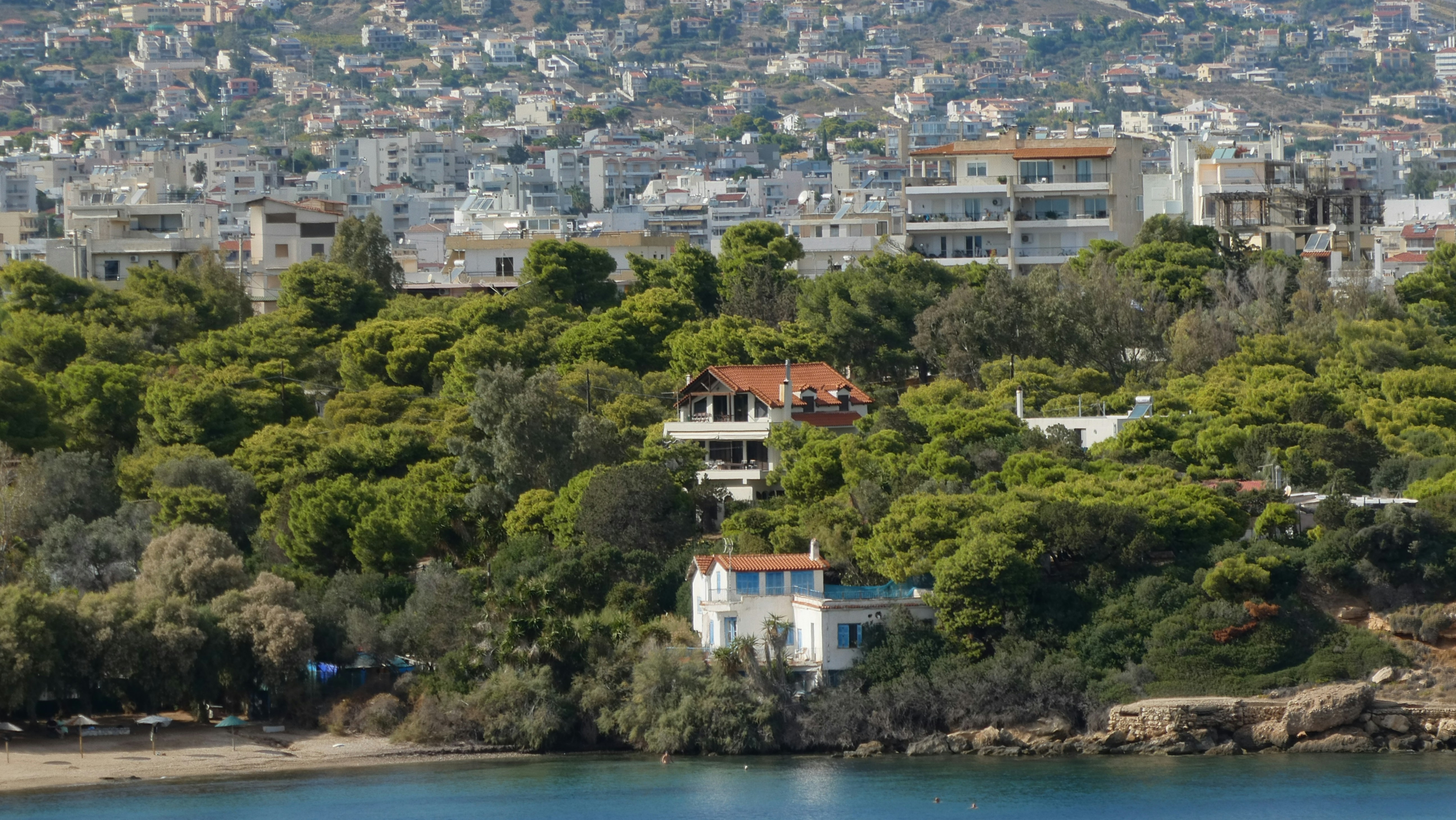 Coastal hillside village tucked among pine trees