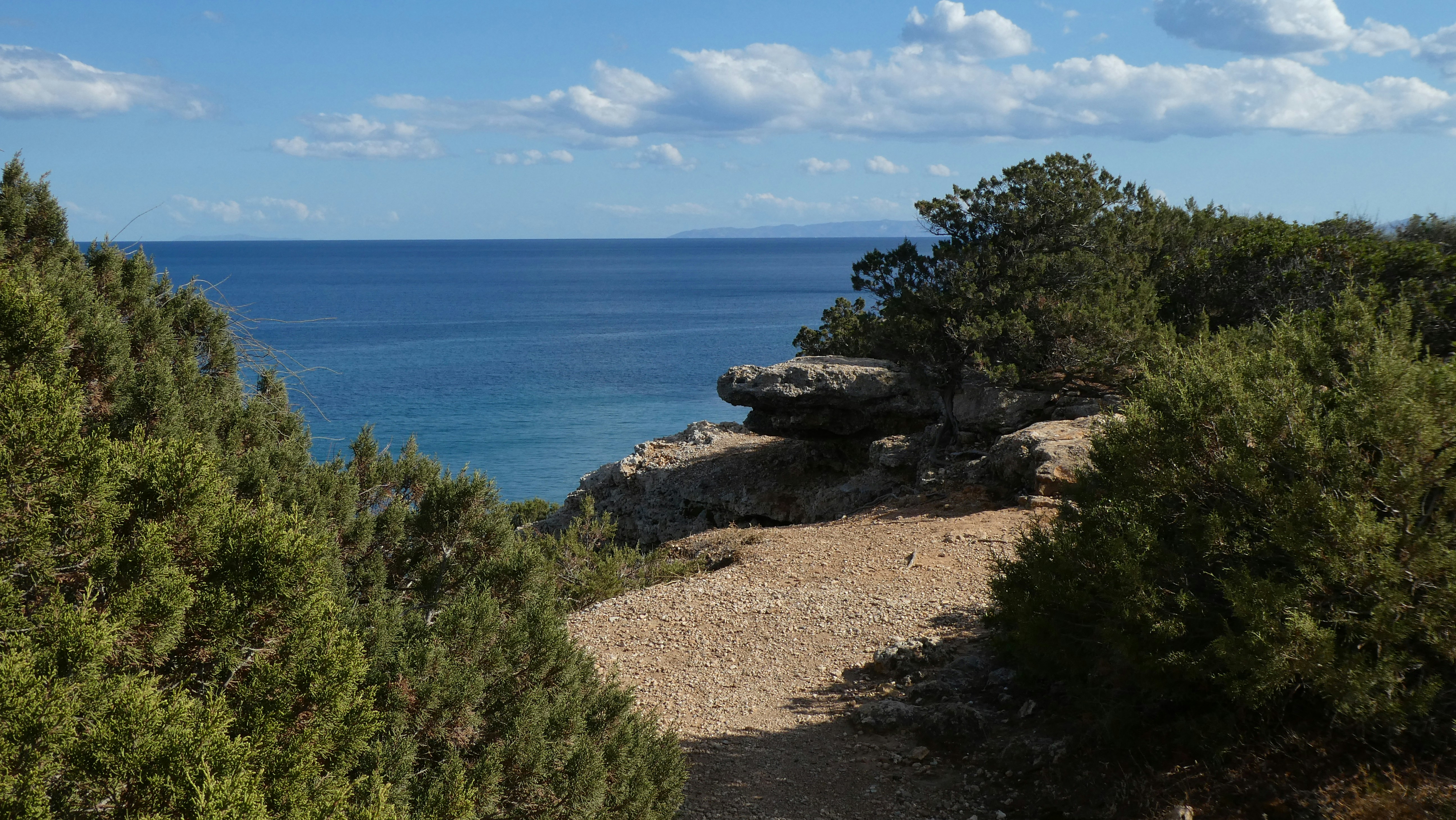 Coastal Outlook: Cliffside Trail to the Endless Blue