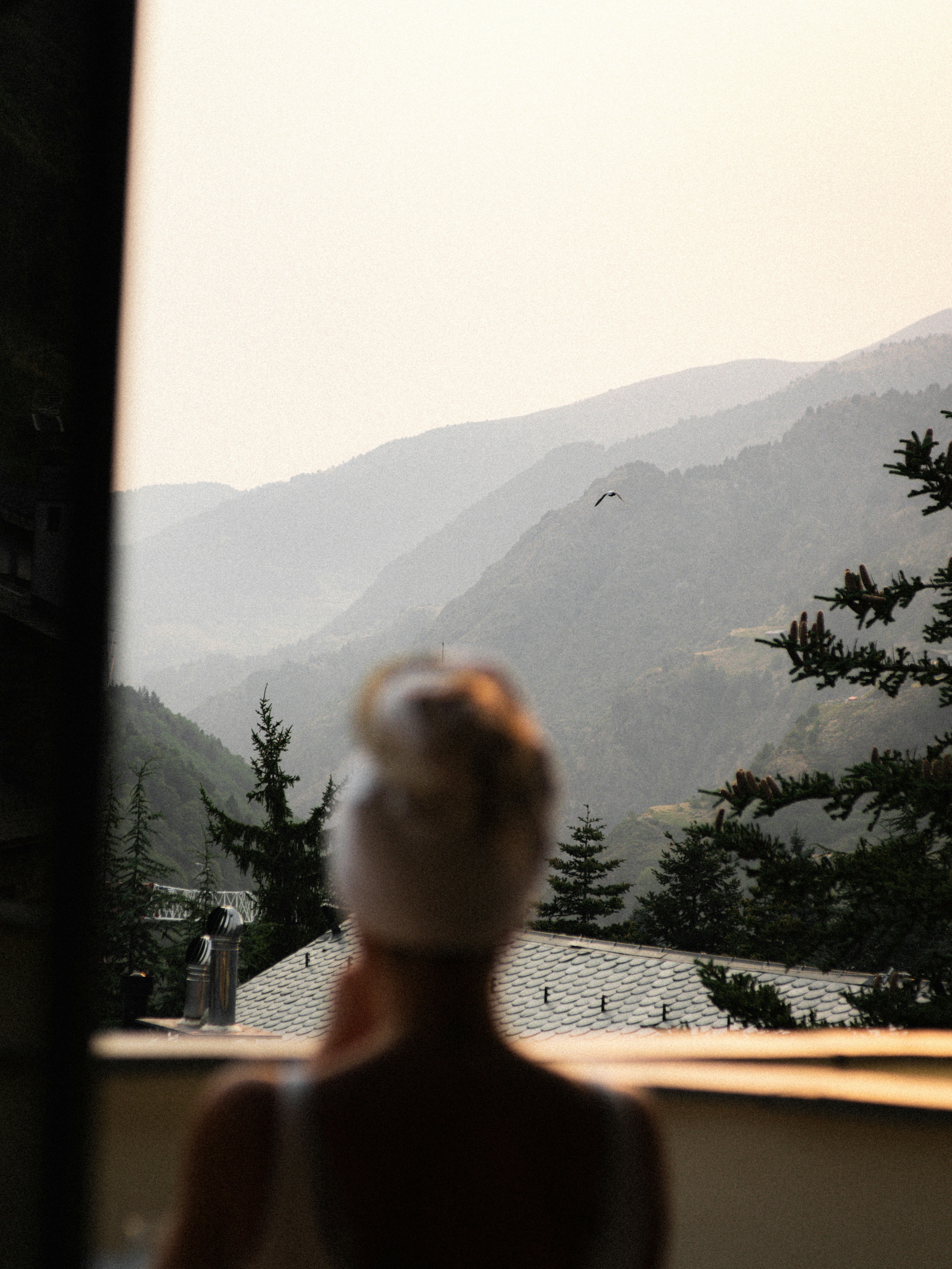 Mist over the Valley: A Quiet Balcony Moment