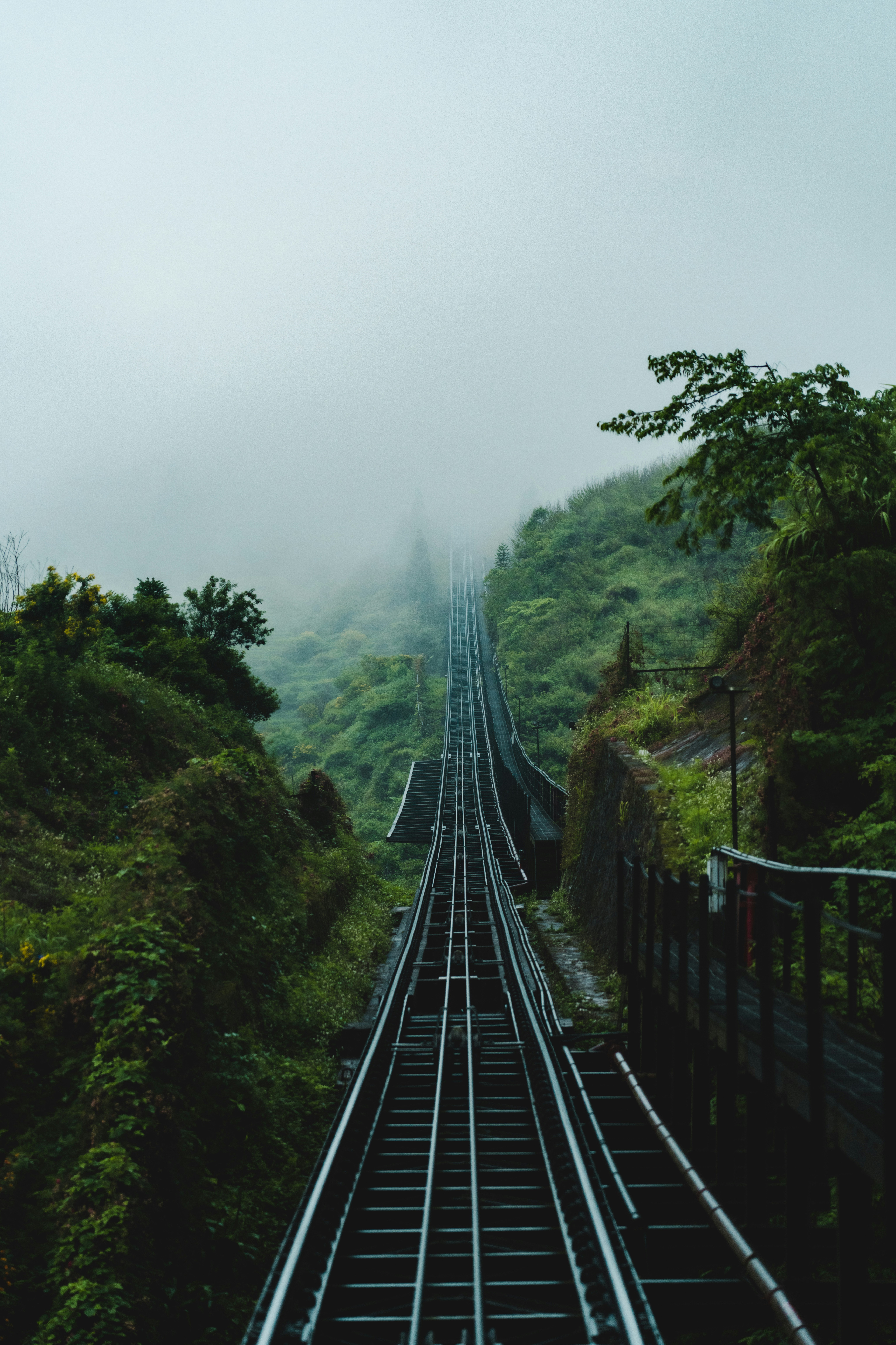 Railway into the Mist: A Lift into Quiet Valleys