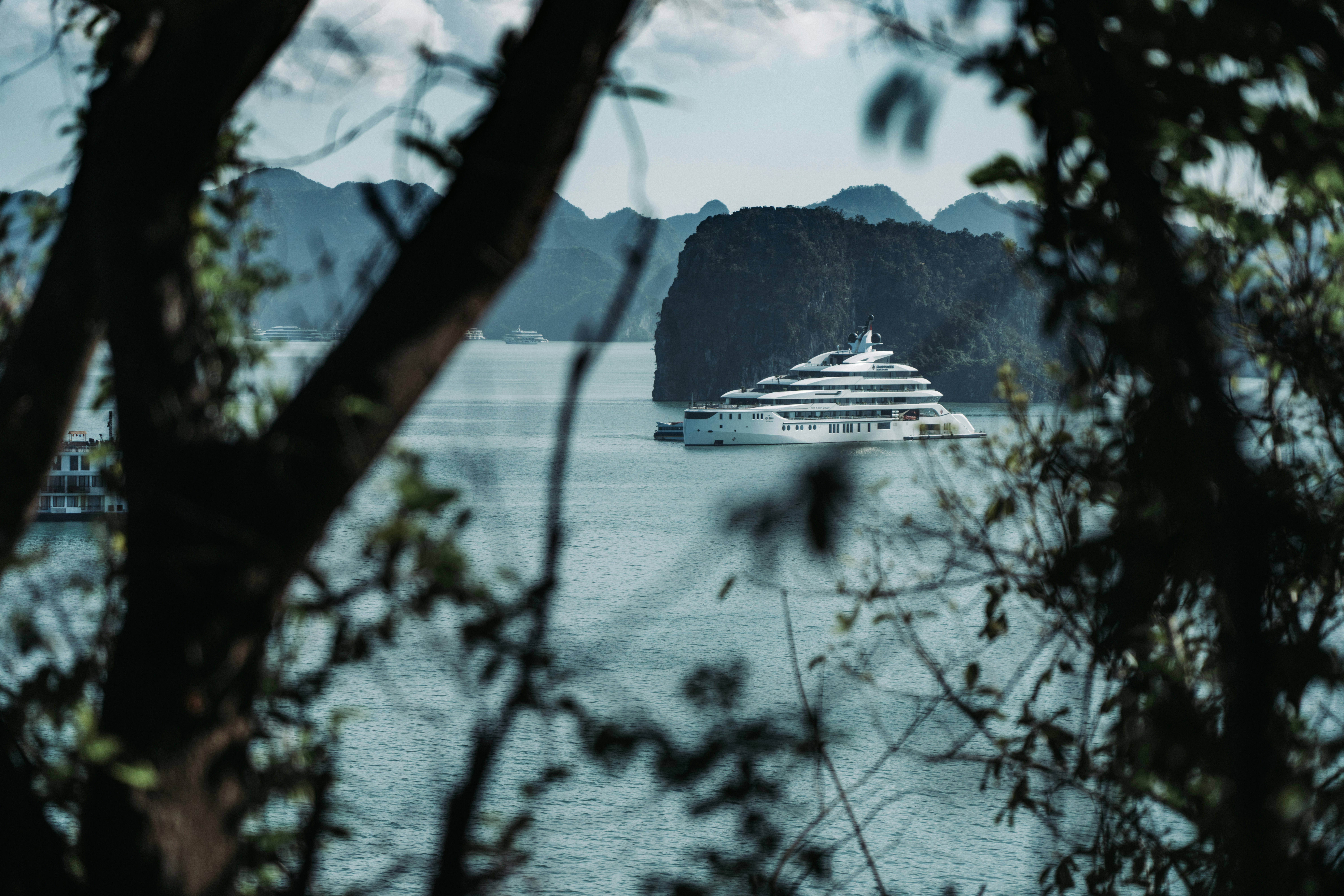 Emerald Serenity: A Yacht Through Framed Pines